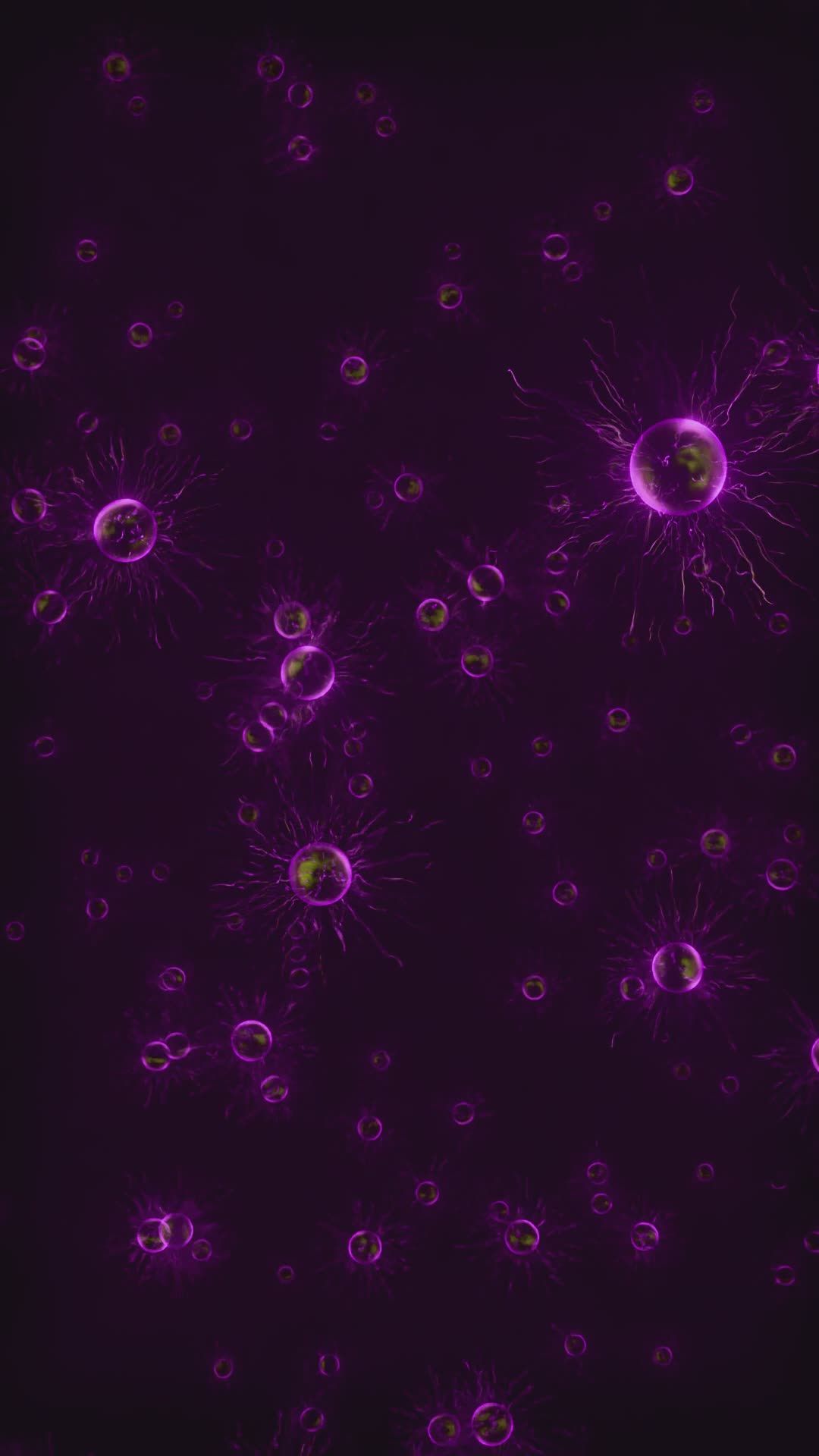Abstract Purple Particles Animation Free Stock Video Footage, Royalty ...