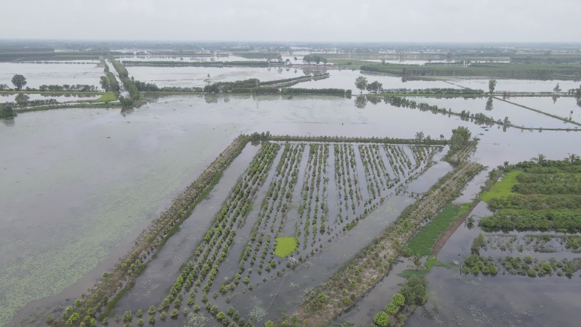 Aerial View of Flooded Agricultural Fields Free Stock Video Footage ...