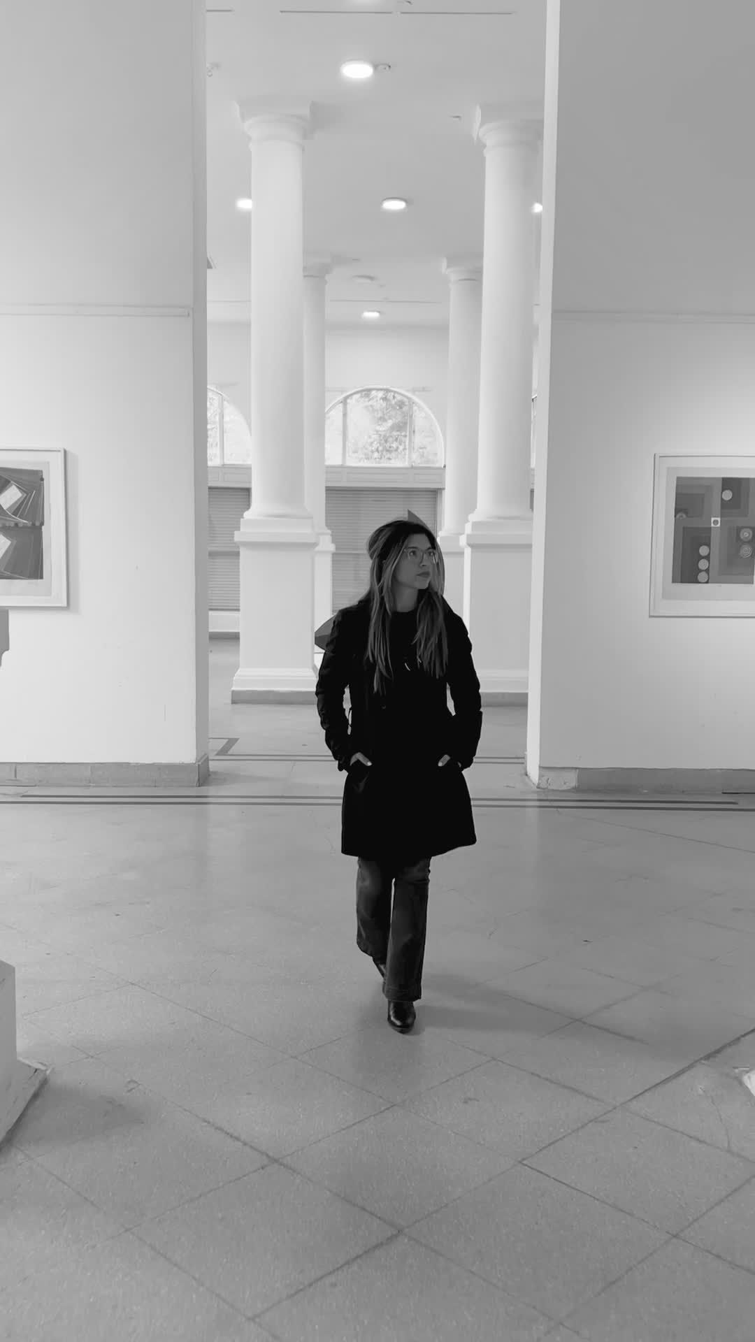 Art Museum Walkthrough in Black and White Free Stock Video Footage ...