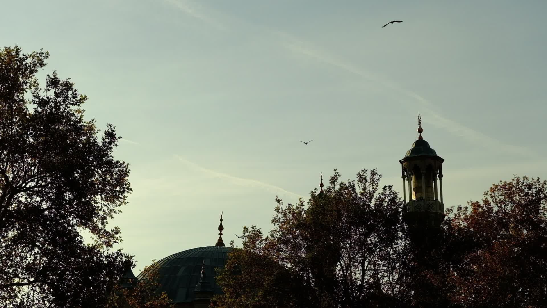 Tehran Landmark Videos, Download The BEST Free 4k Stock Video Footage ...