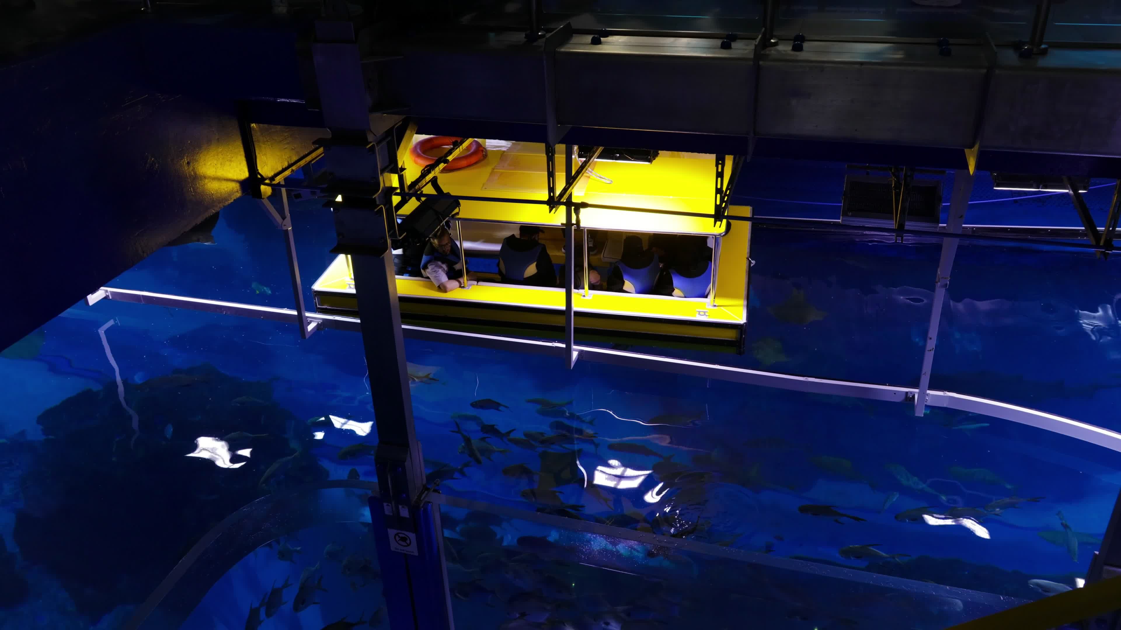 Aquarium Overhead View of Yellow Tour Boat Free Stock Video Footage ...