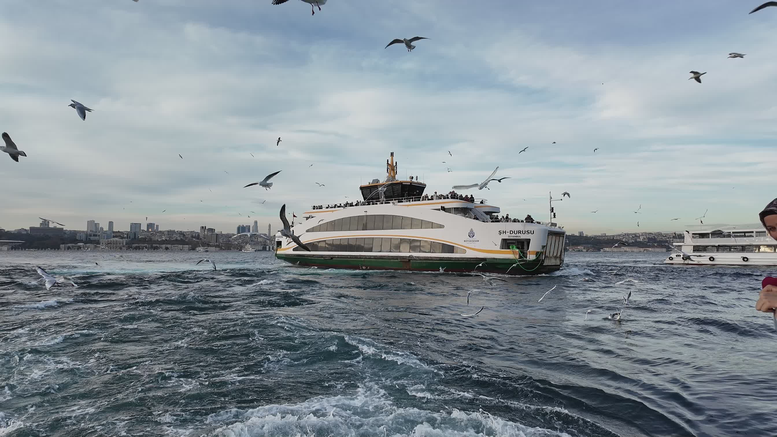 Marin Ship Videos, Download The BEST Free 4k Stock Video Footage ...