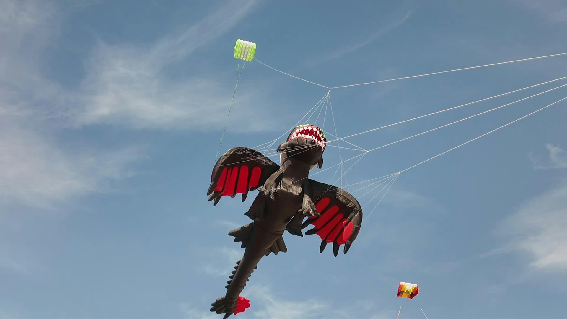 Dragon Flying Videos, Download The BEST Free 4k Stock Video Footage ...