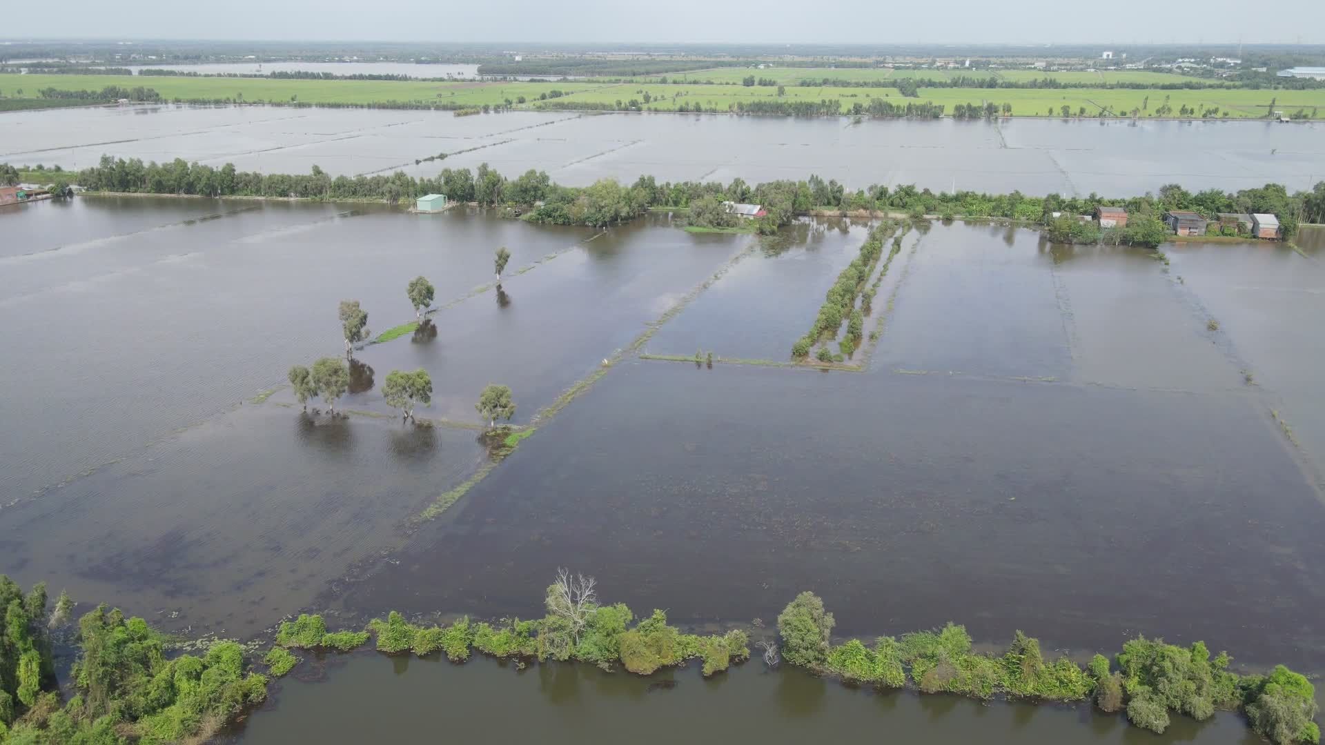Aerial View of Flooded Farmland Landscape Free Stock Video Footage ...