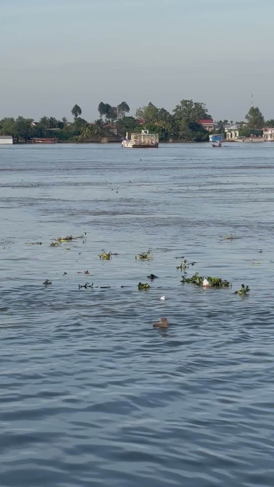 Tranquil Boat Scene on Vietnamese River Free Stock Video Footage ...