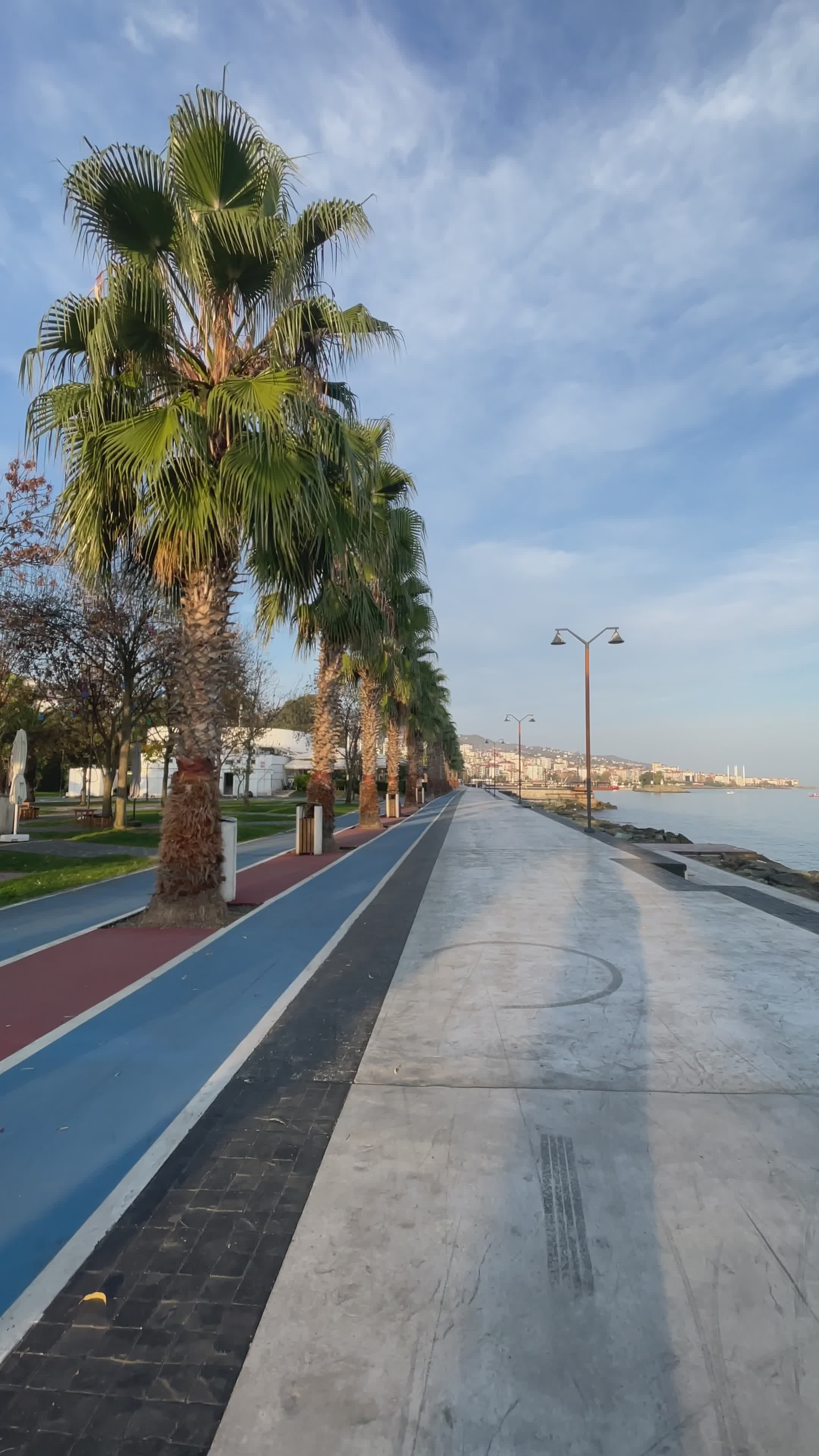 Scenic Beachfront Promenade with Palm Trees Free Stock Video Footage ...