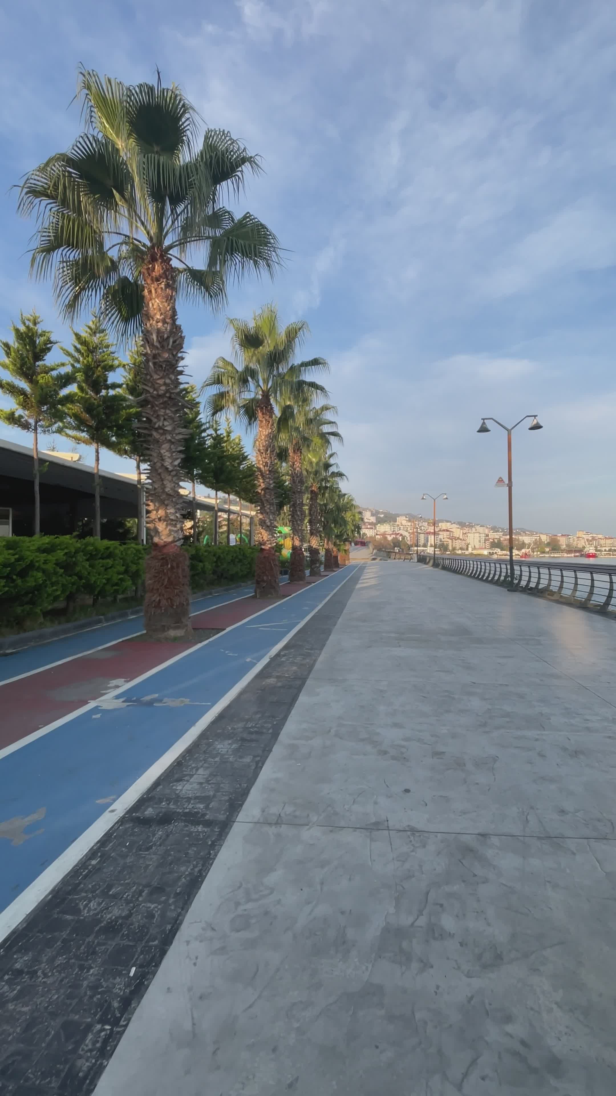 Scenic Coastal Promenade with Palm Trees Free Stock Video Footage ...
