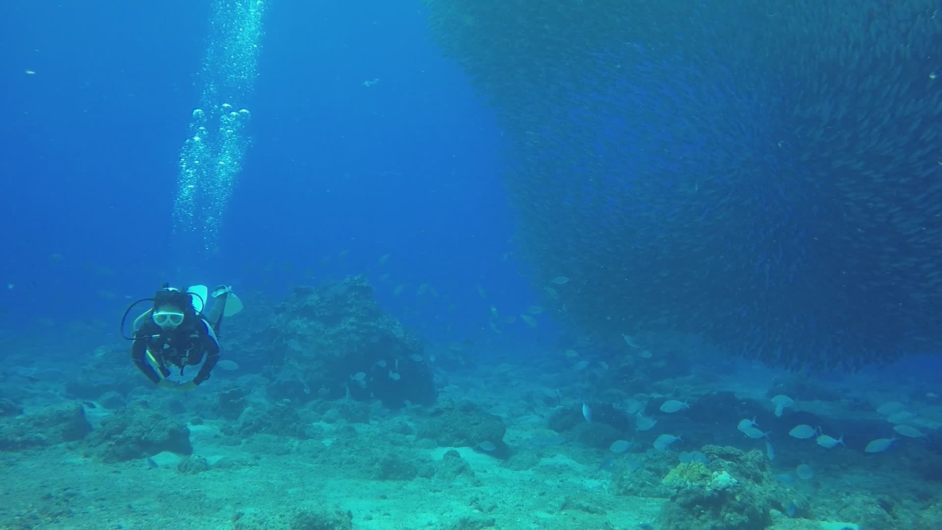 Thrilling Underwater Dive Amidst Coral Reefs Free Stock Video Footage ...