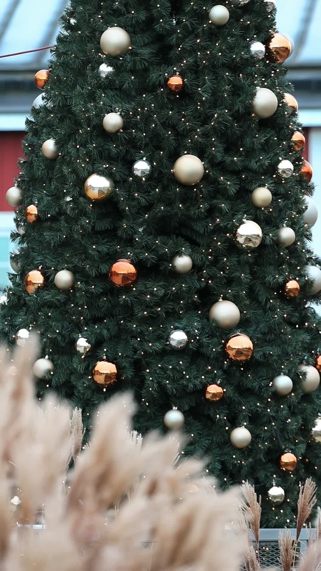 Festive Christmas Decor with Glowing Tree Free Stock Video Footage ...