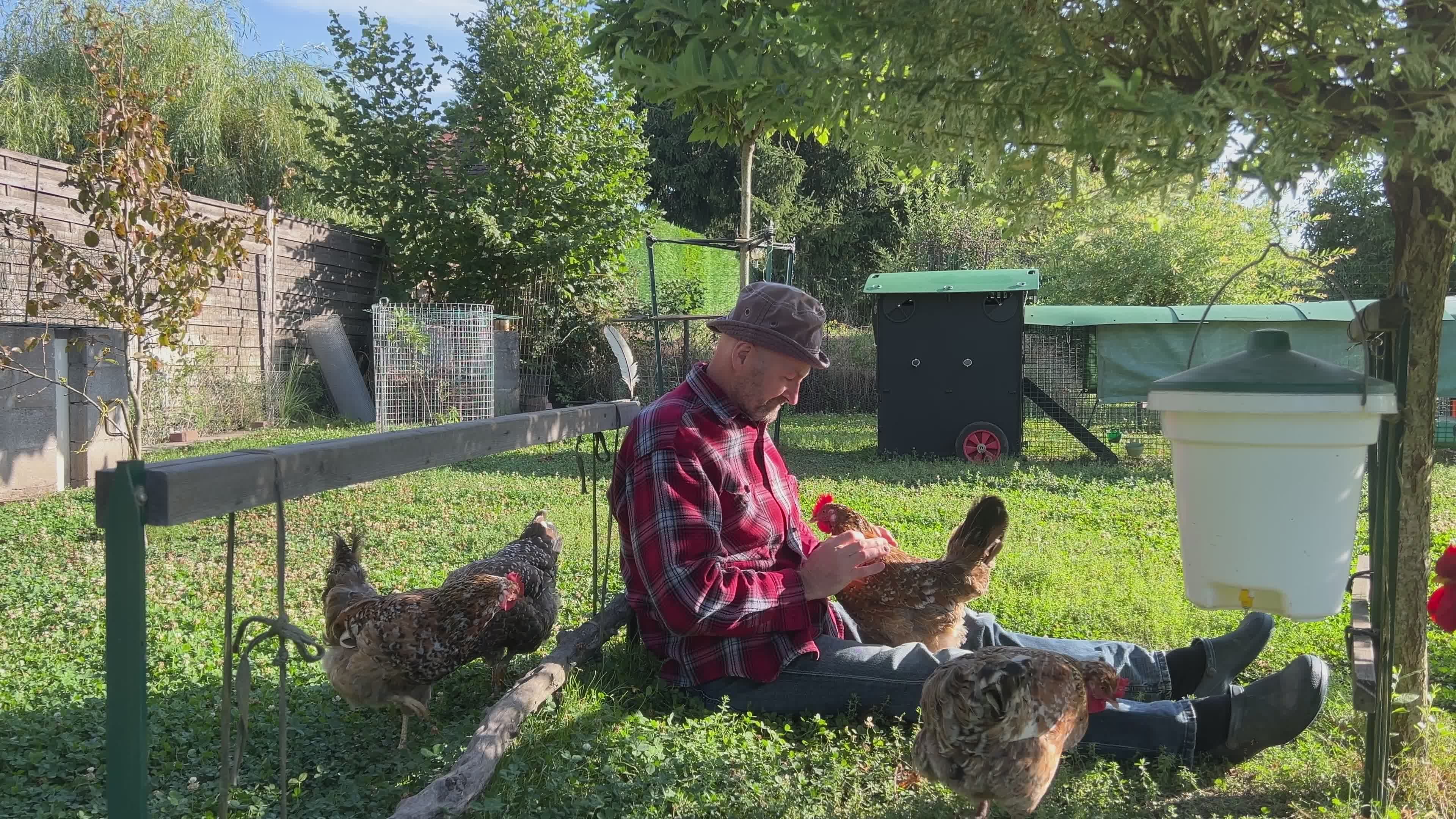 Man Relaxing with Hens in Tranquil Garden Free Stock Video Footage ...