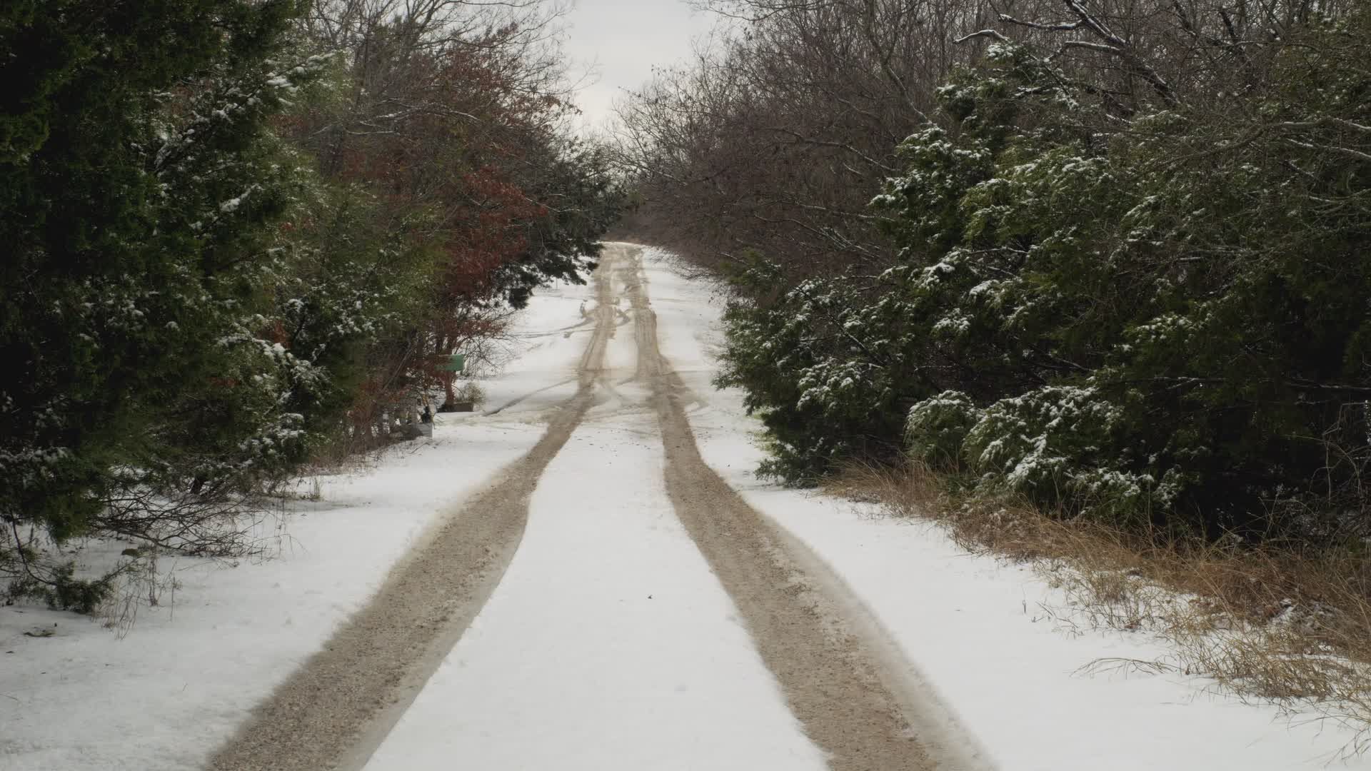 Serene Snow-Covered Rural Pathway in Winter Free Stock Video Footage ...