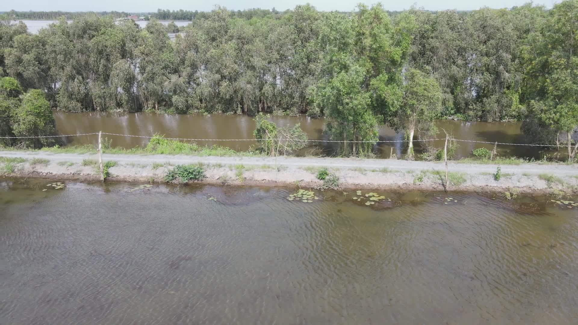 Lush Riverbank Aerial View with Calm Waters Free Stock Video Footage ...
