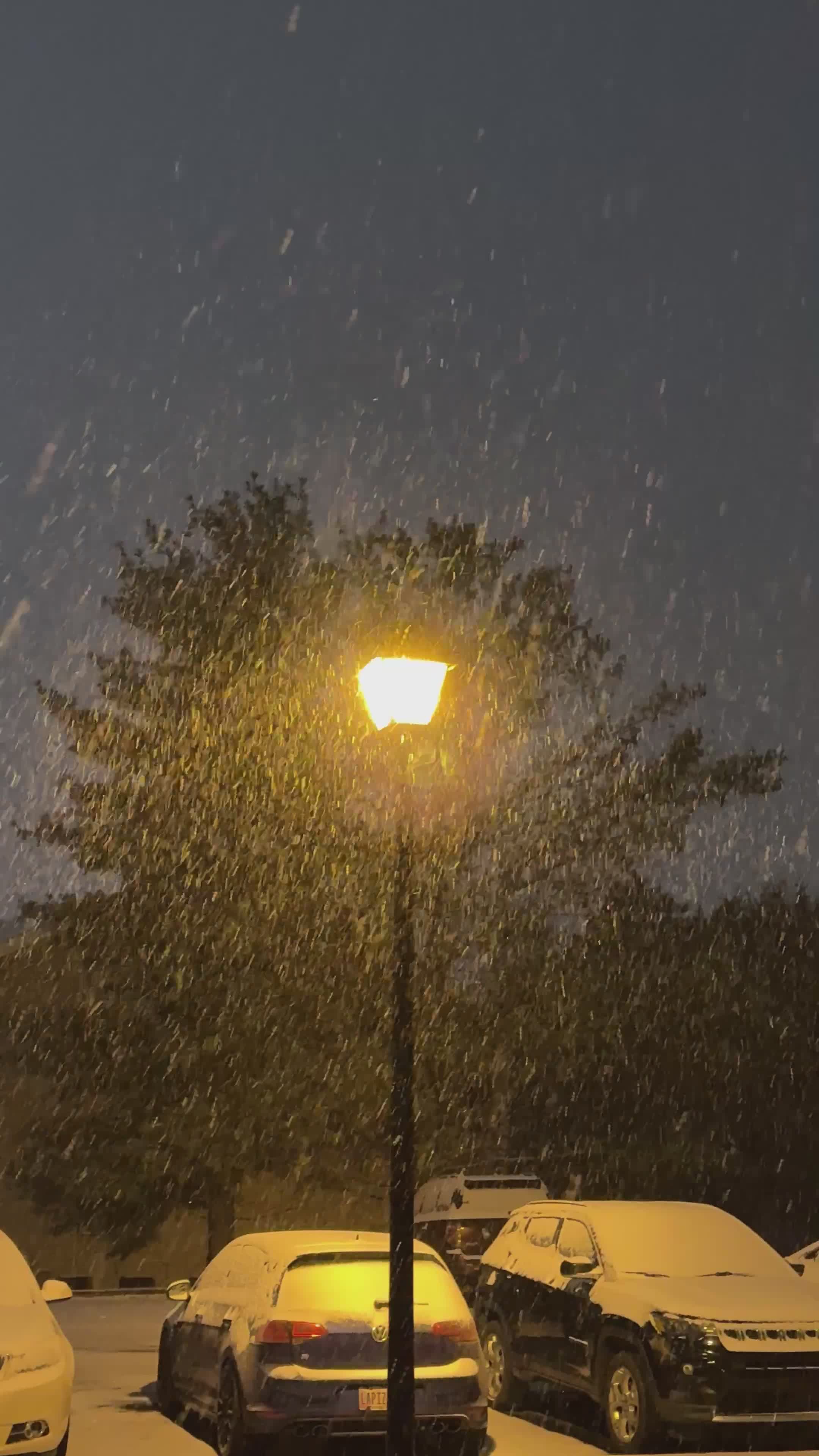 Snowfall Illuminated by Streetlight on Winter Night Free Stock Video ...