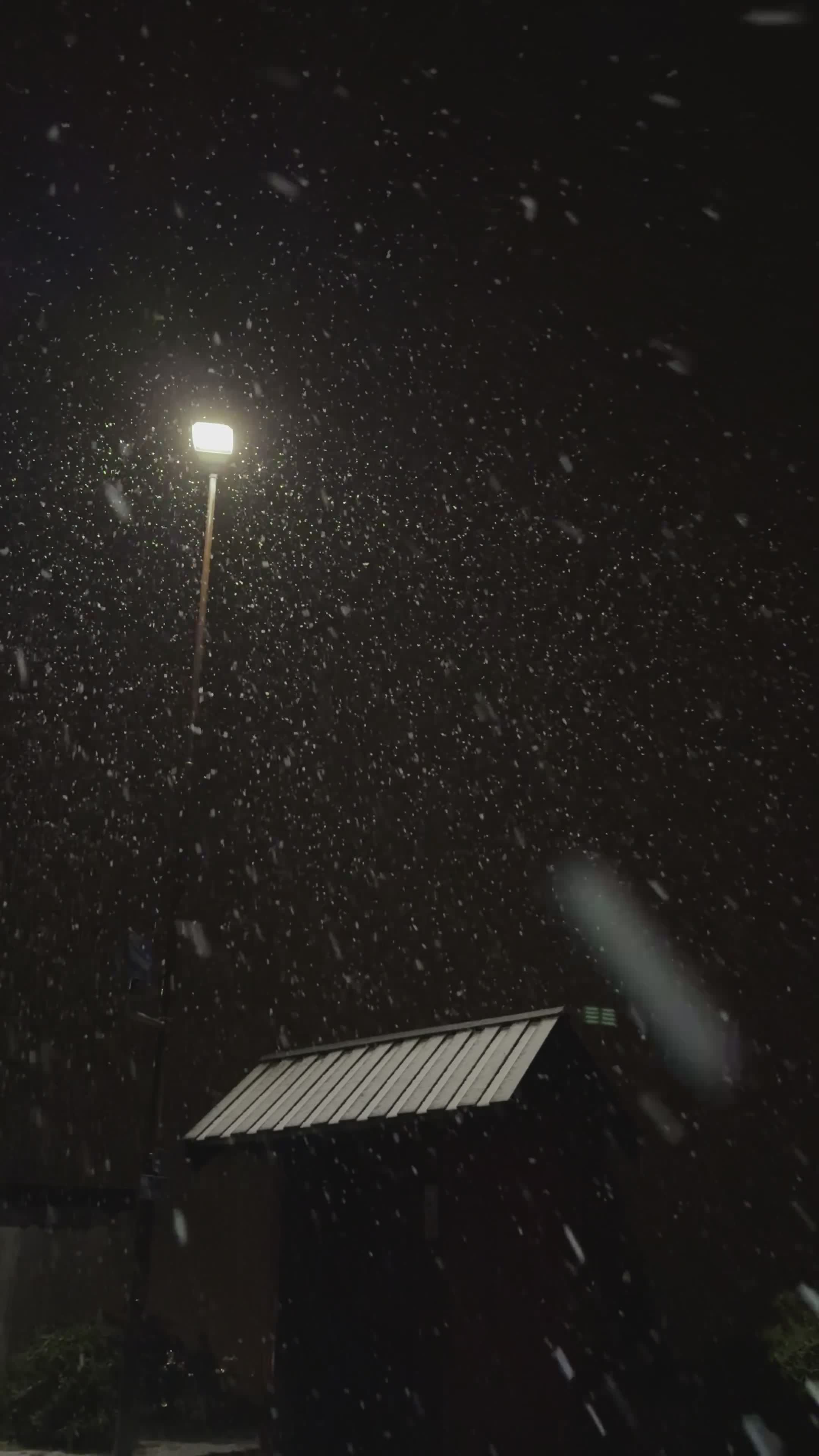 Snowfall at Night with Starry Sky Background Free Stock Video Footage ...