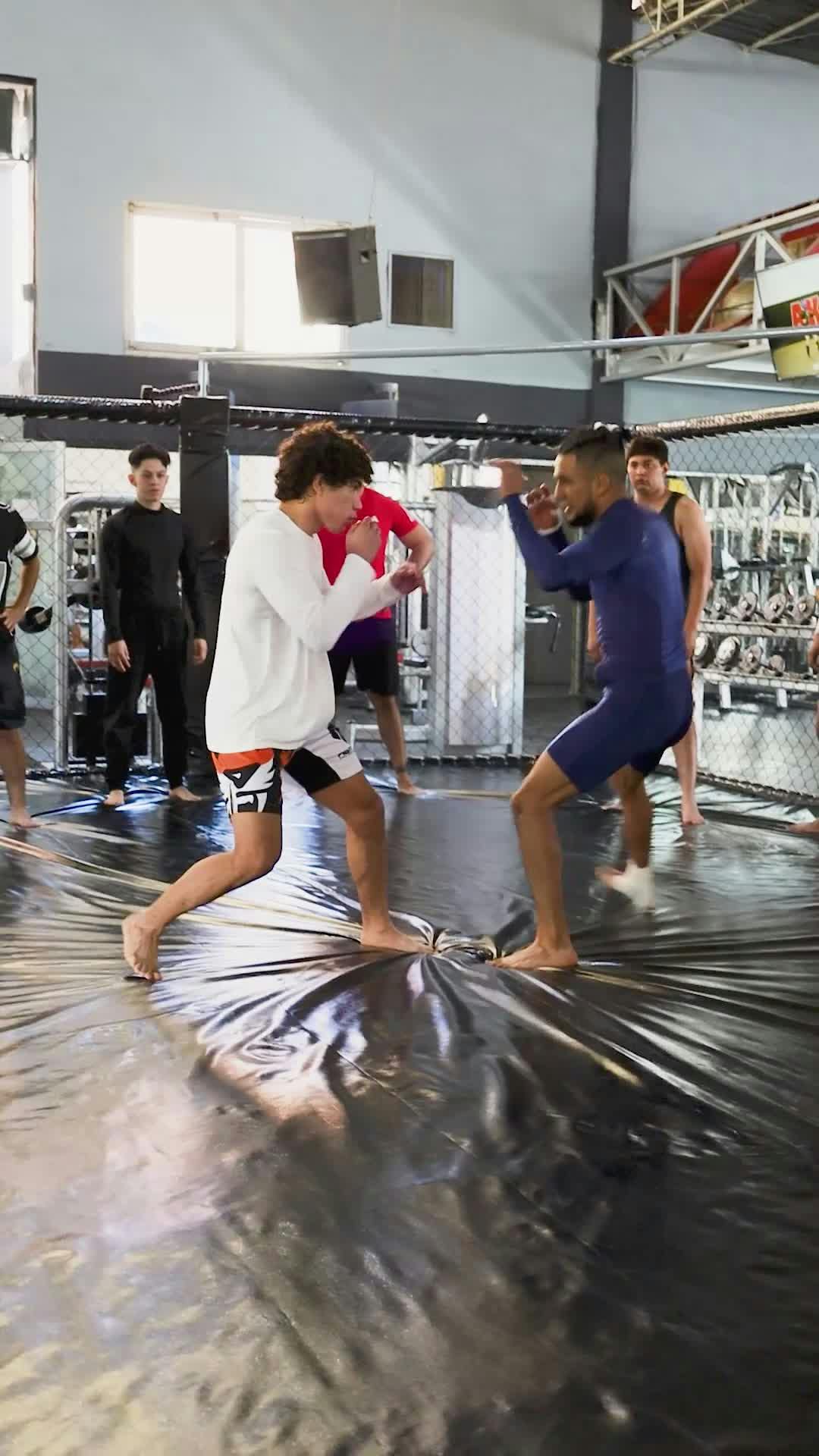 Dynamic MMA Training Session in Gym Free Stock Video Footage, Royalty ...