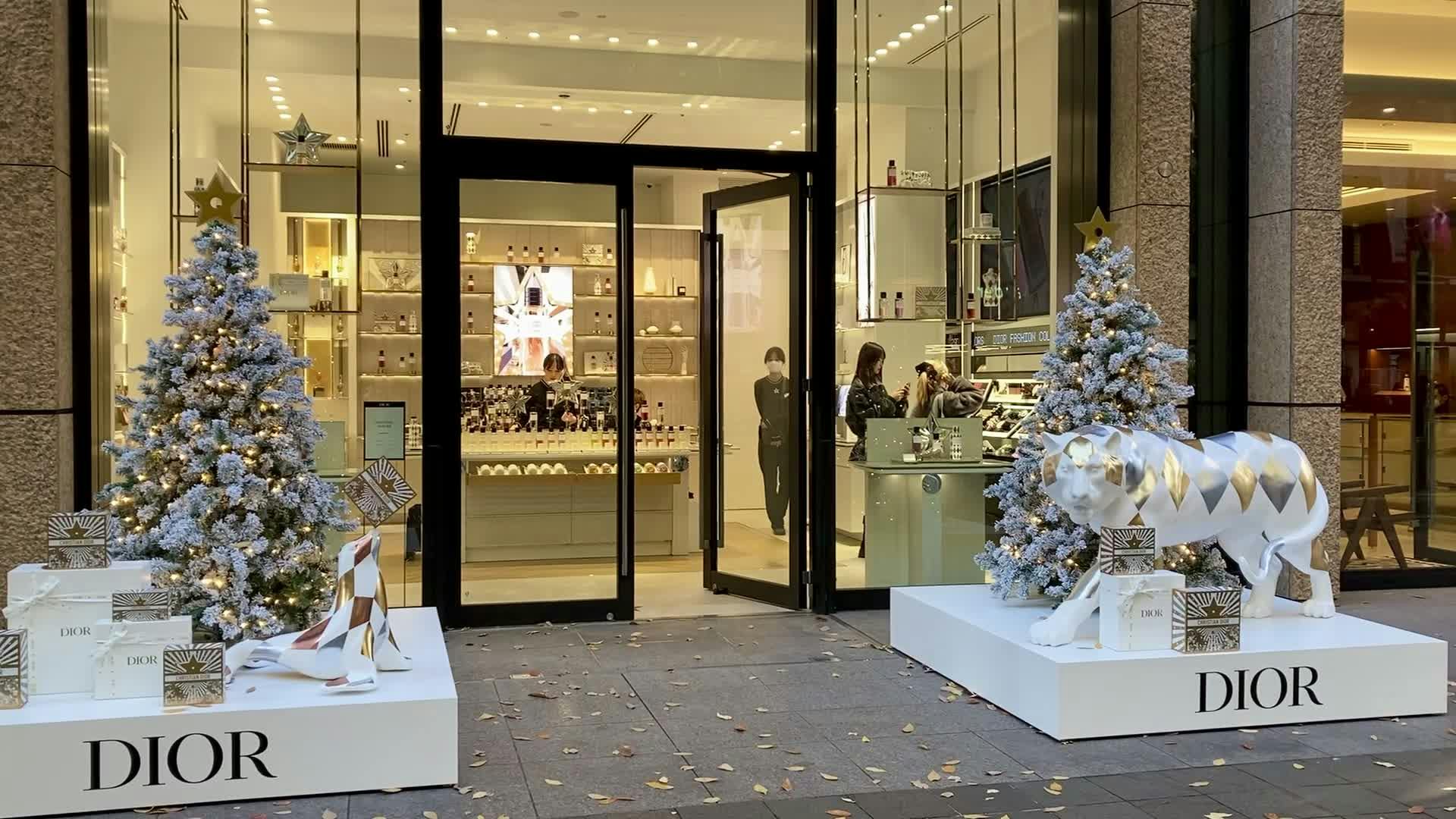 Festive Dior Storefront with Holiday Decor Free Stock Video Footage ...