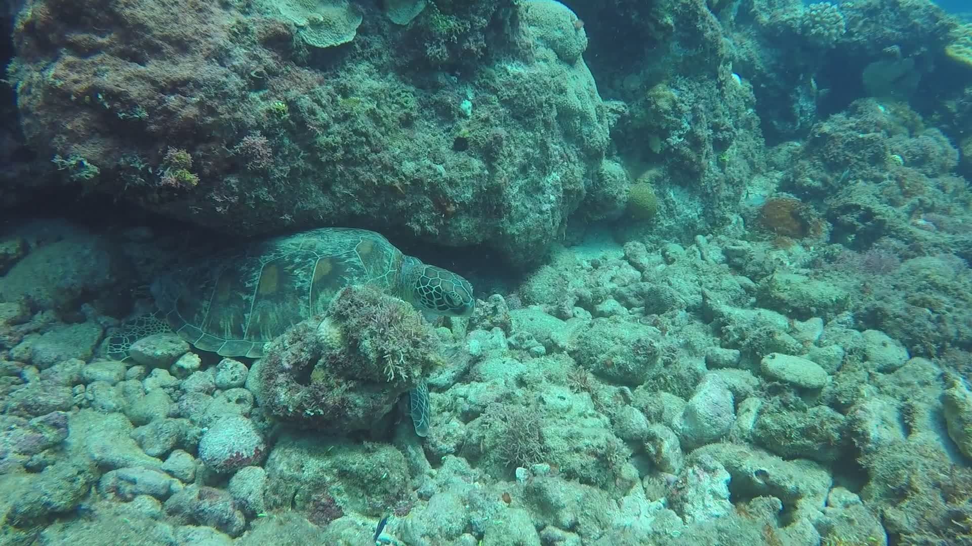 Shell Programing Videos, Download The BEST Free 4k Stock Video Footage ...
