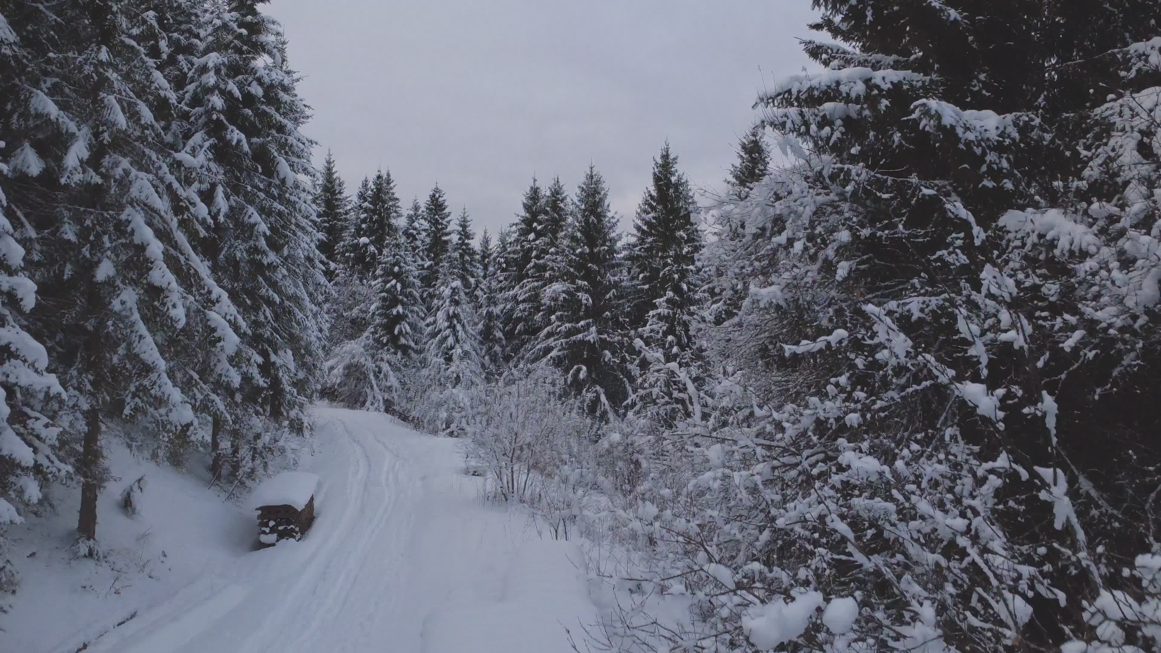 Scenic Winter Forest Landscape in the Alps Free Stock Video Footage ...