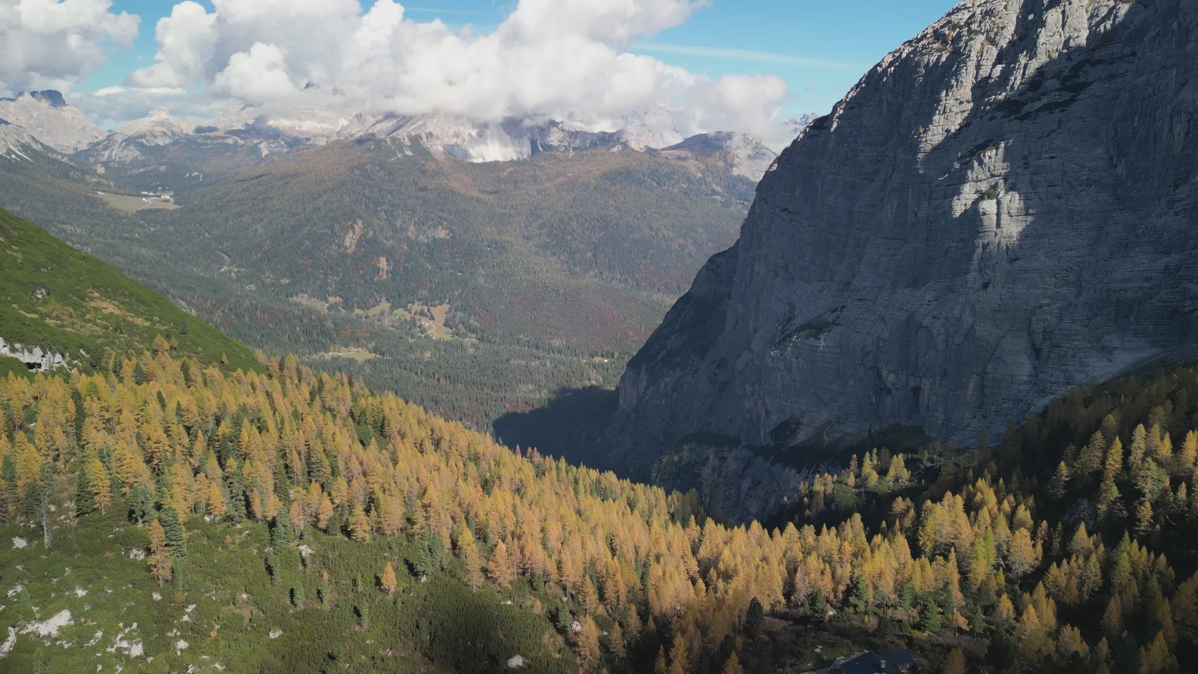 Nature Autumn Video Videos, Download The BEST Free 4k Stock Video ...