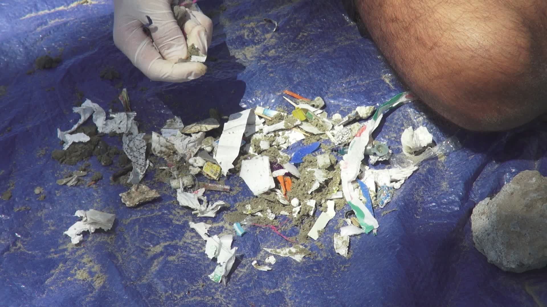 Beach Cleanup: Sorting Plastic Waste by Hand Free Stock Video Footage ...