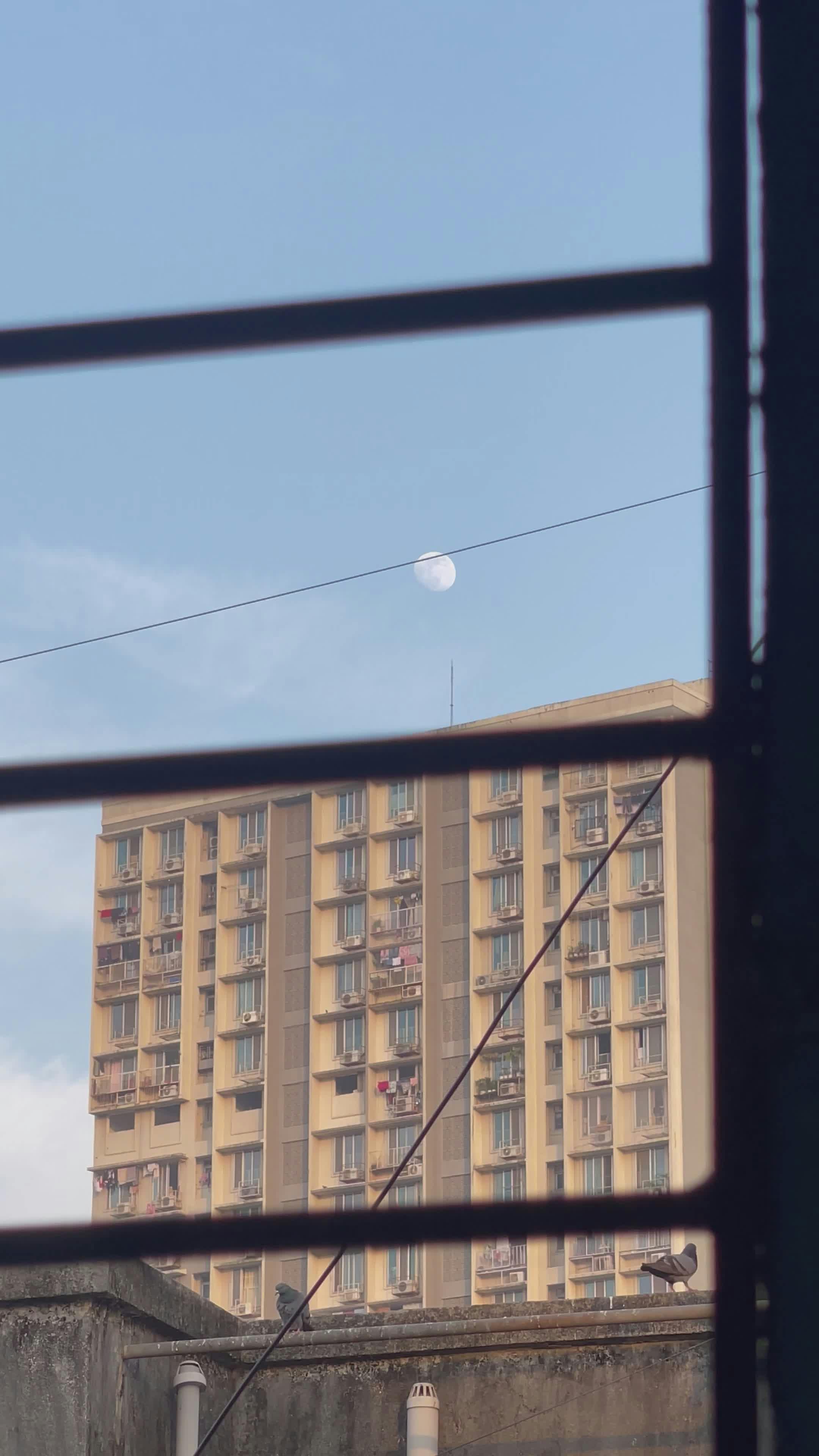 Ponographic Videos Videos, Download The BEST Free 4k Stock Video ...