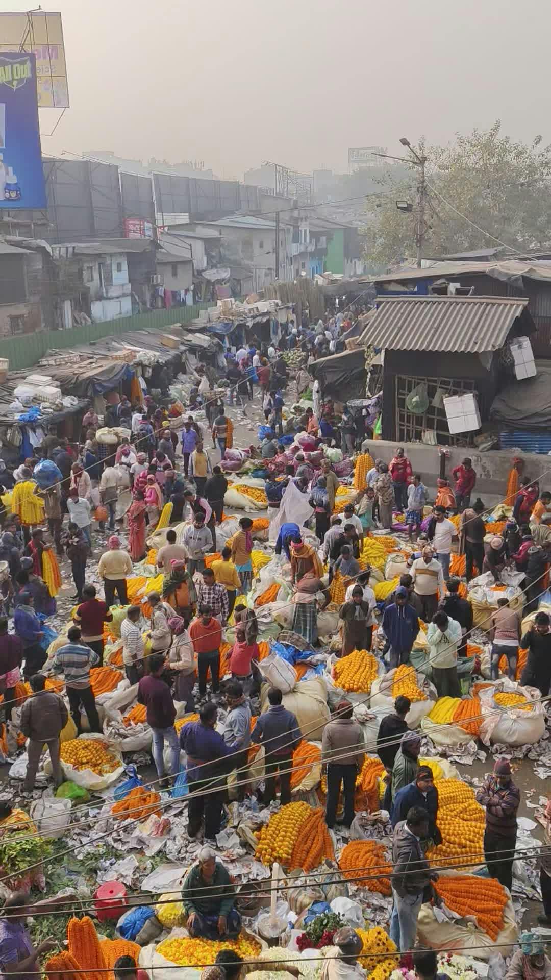 Vibrant Kolkata Flower Market Bustling with Activity Free Stock Video ...