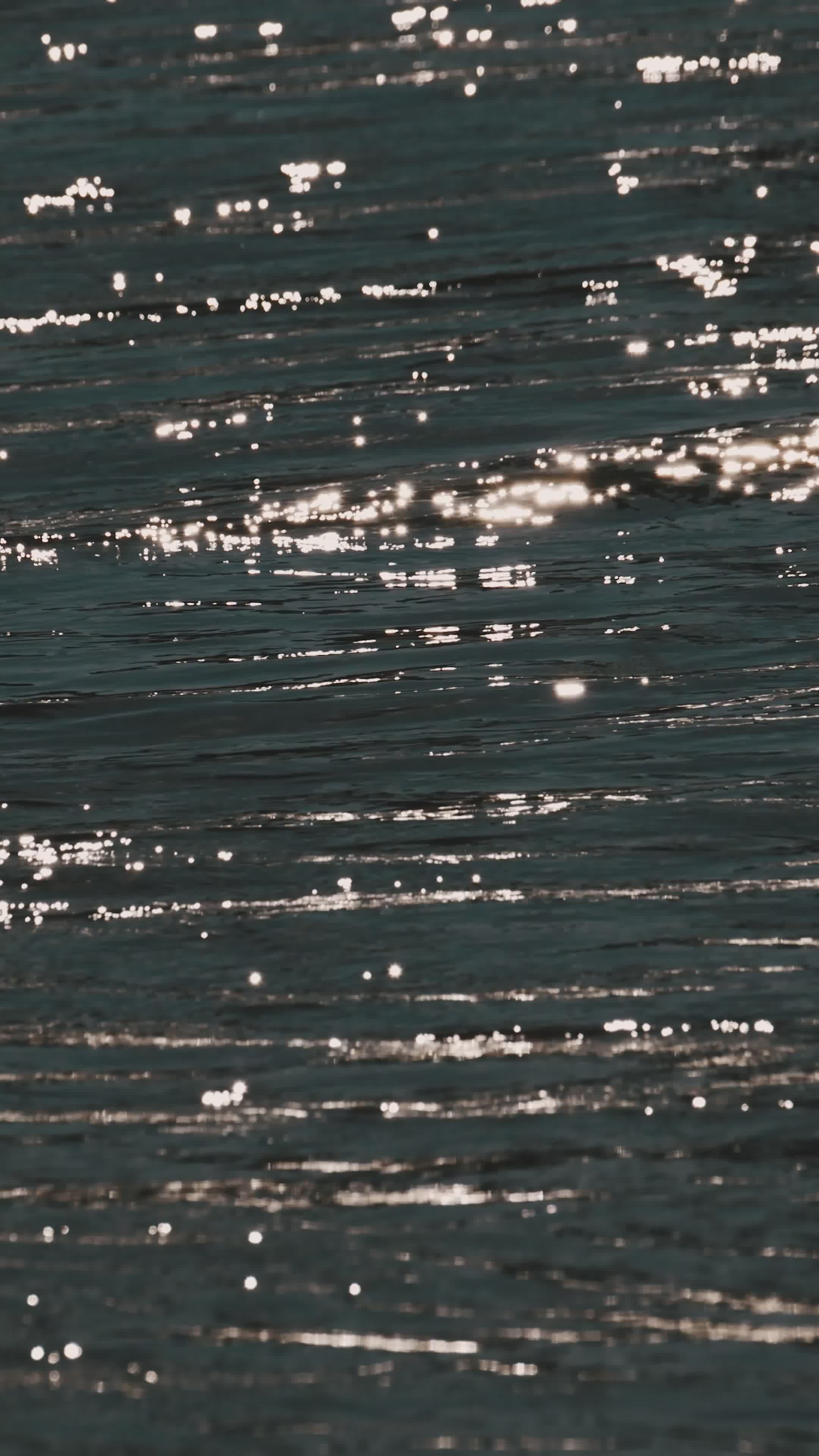 Visual Poetry Videos, Download The BEST Free 4k Stock Video Footage ...