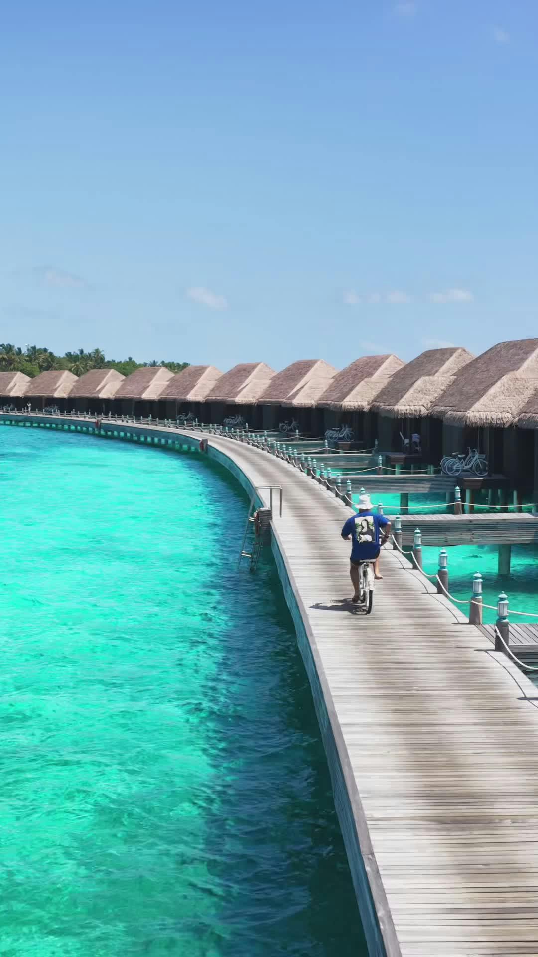 Monger+In+Asia+Full+Free Videos, Download The BEST Free 4k Stock Video ...