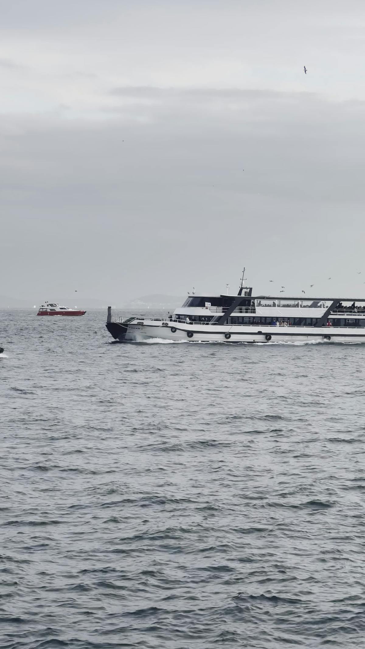 Minecraft Video Videos, Download The BEST Free 4k Stock Video Footage ...