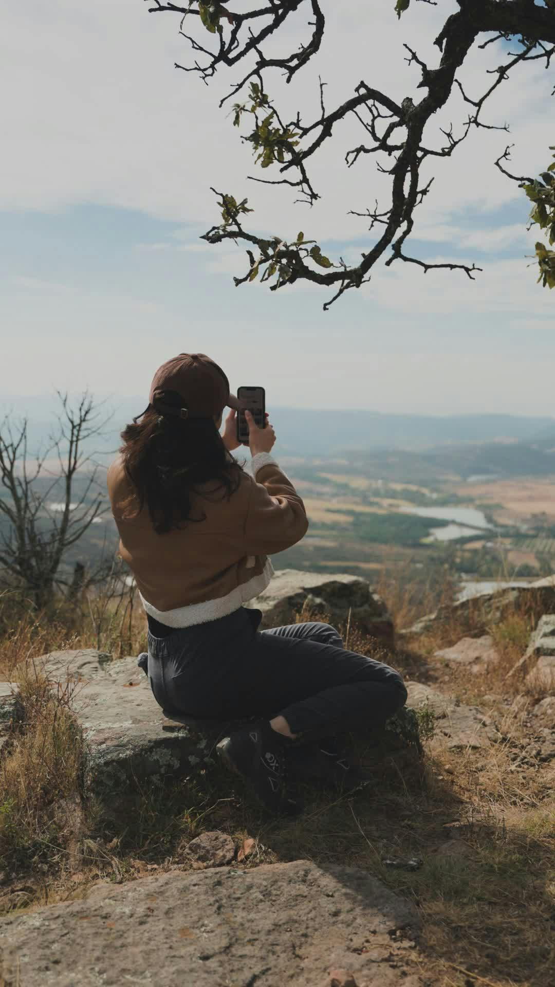 Bosque Digital Videos, Download The BEST Free 4k Stock Video Footage ...