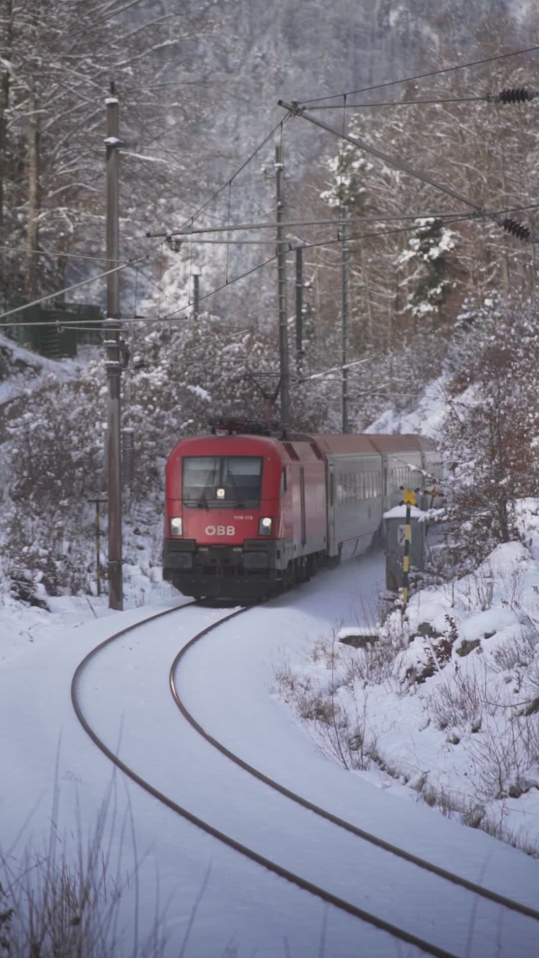 Winter Train Journey Through Snowy Forest Free Stock Video Footage ...