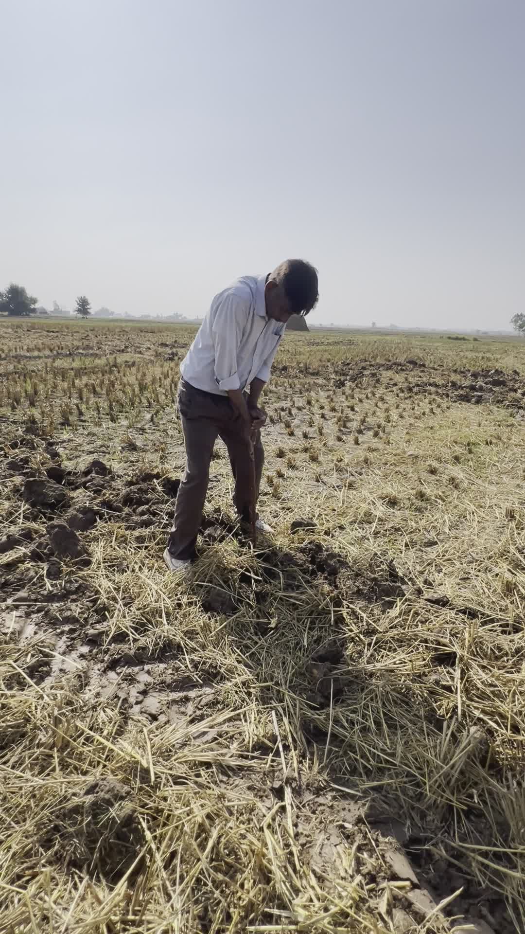 Farmer Preparing Soil in Sunlit Field Free Stock Video Footage, Royalty ...
