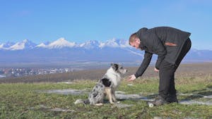 Tamil+Oolveri+Video Videos, Download The BEST Free 4k Stock Video ...