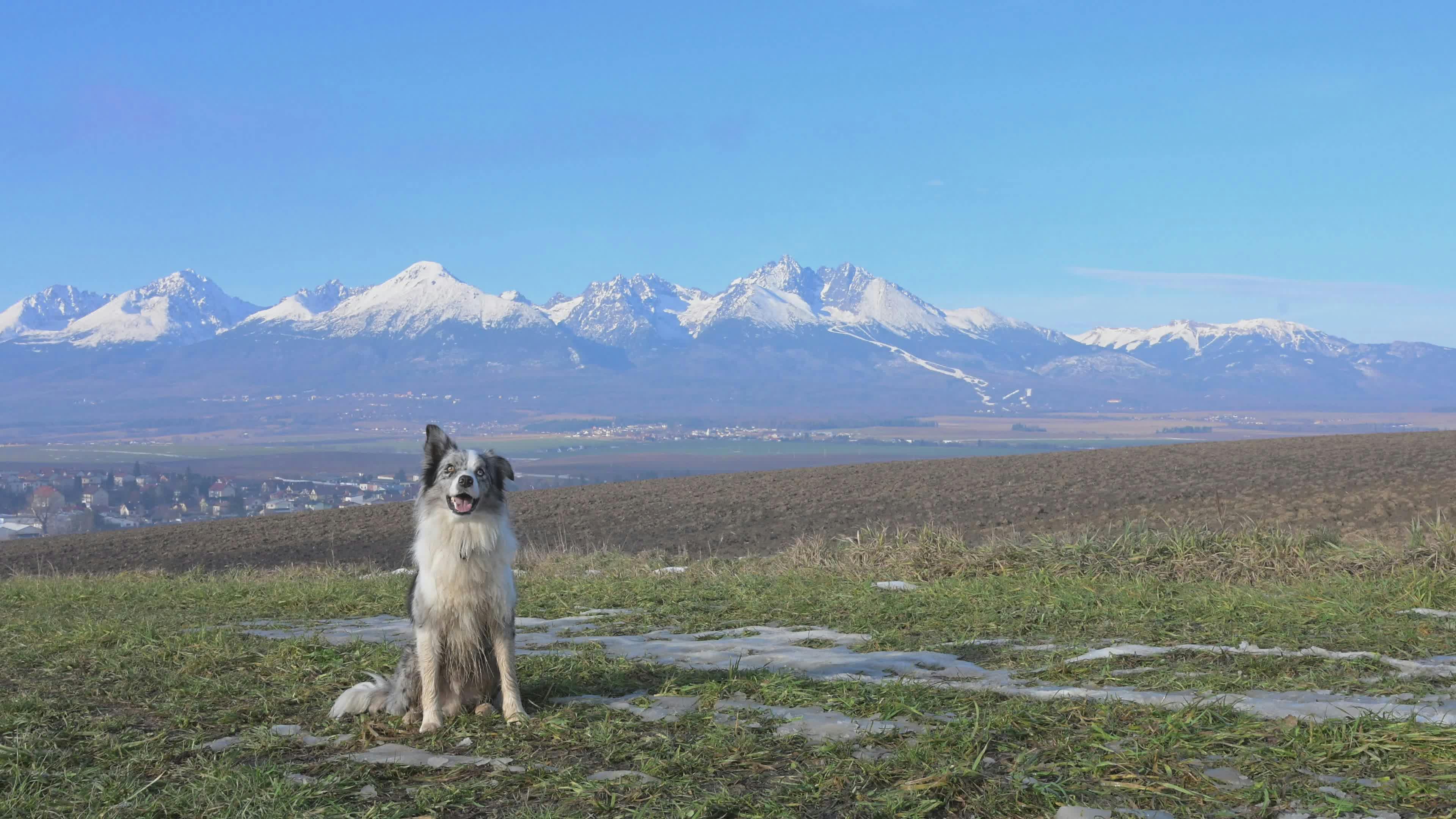 Pmv+Full+Video+Compilation Videos, Download The BEST Free 4k Stock ...