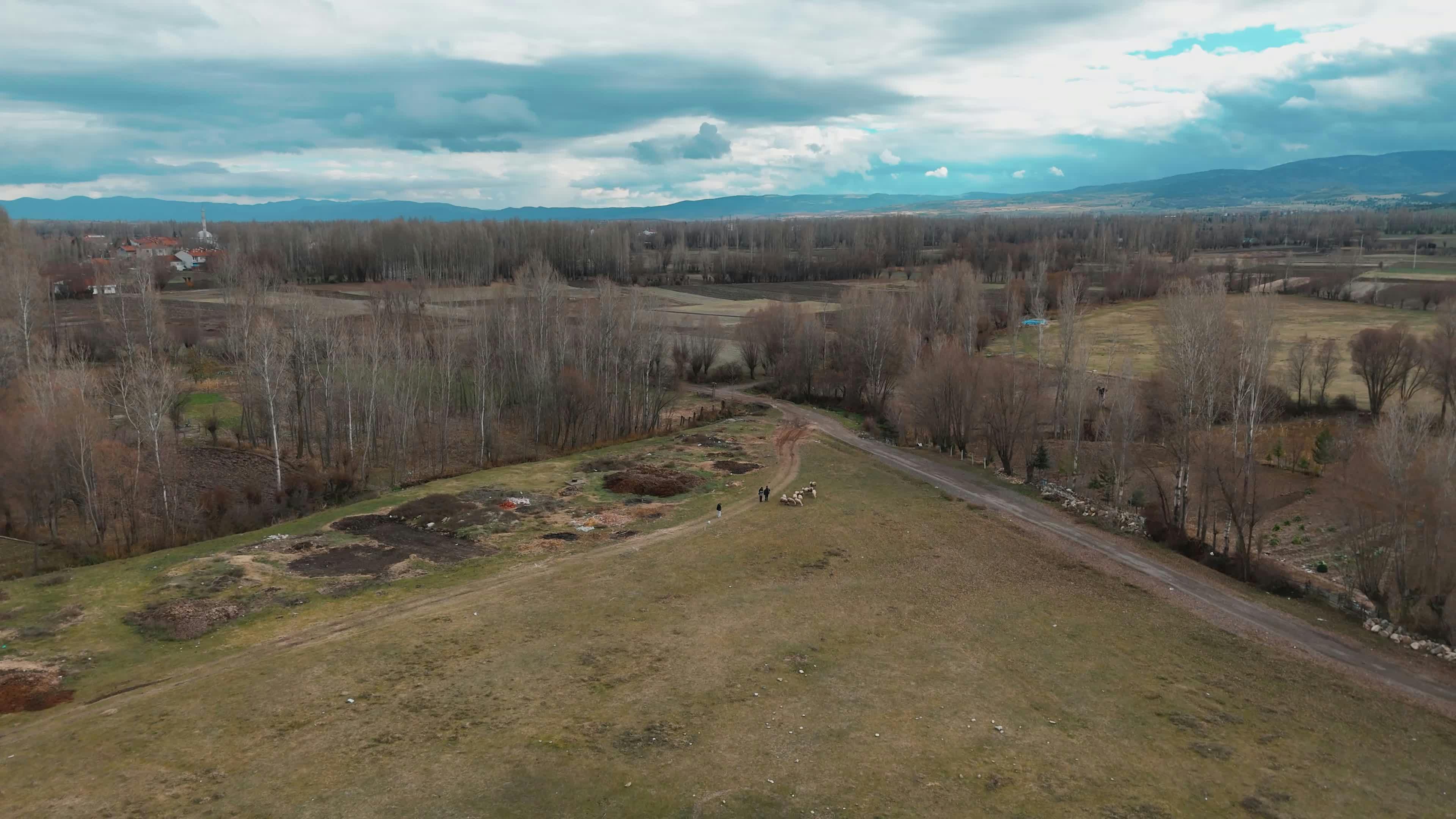 Aerial View of Pastoral Landscape with Sheep Herd Free Stock Video Footage, Royalty-Free 4K & HD ...