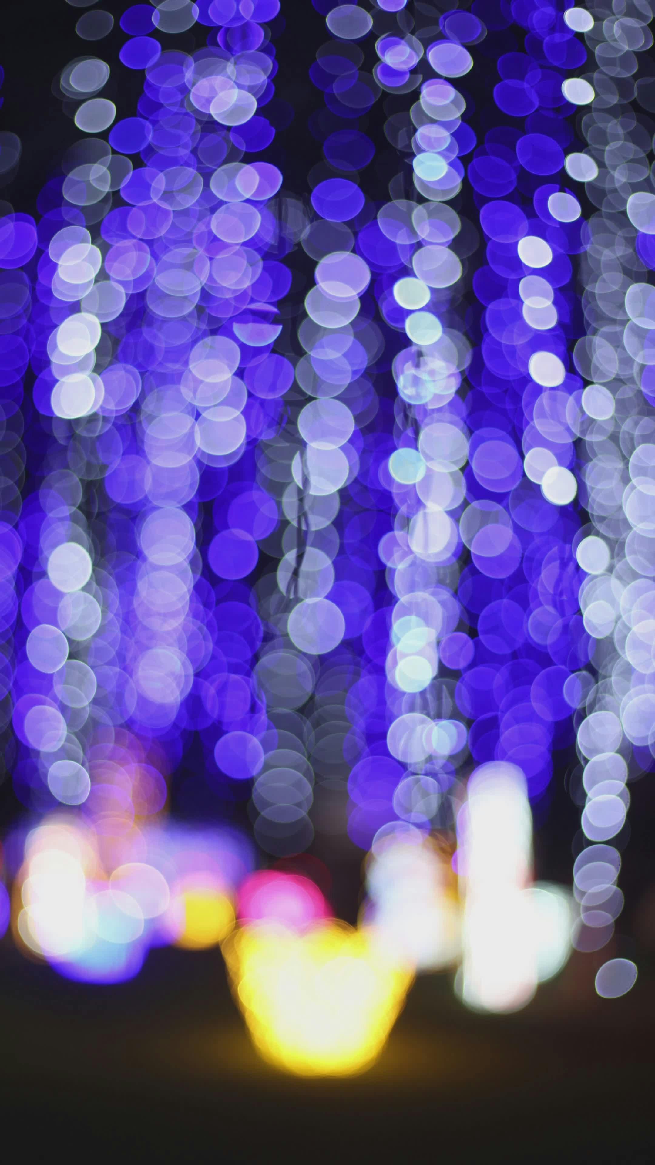 Big+Ass Videos, Download The BEST Free 4k Stock Video Footage & Big+Ass ...