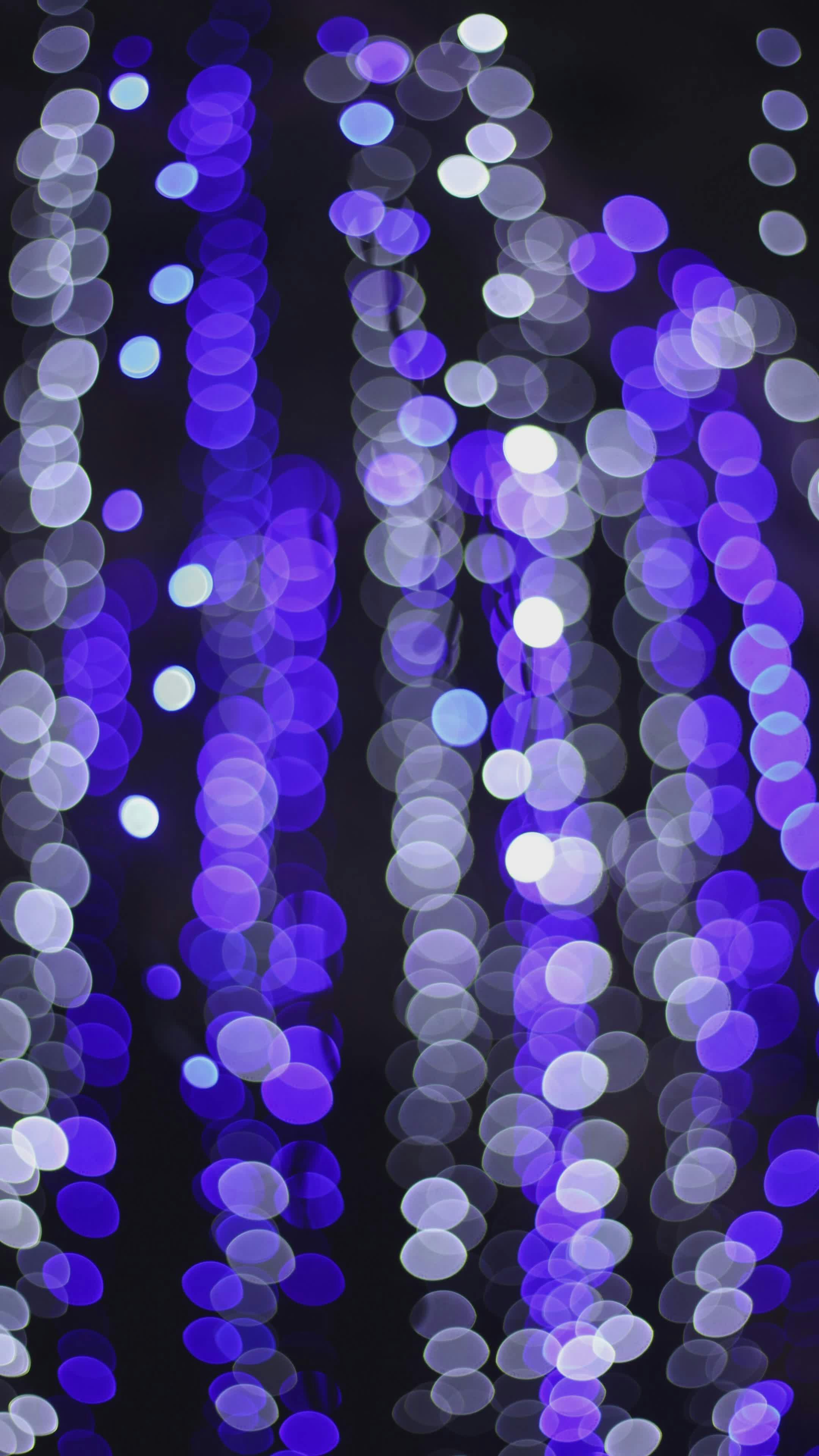 Big+Ass Videos, Download The BEST Free 4k Stock Video Footage & Big+Ass ...