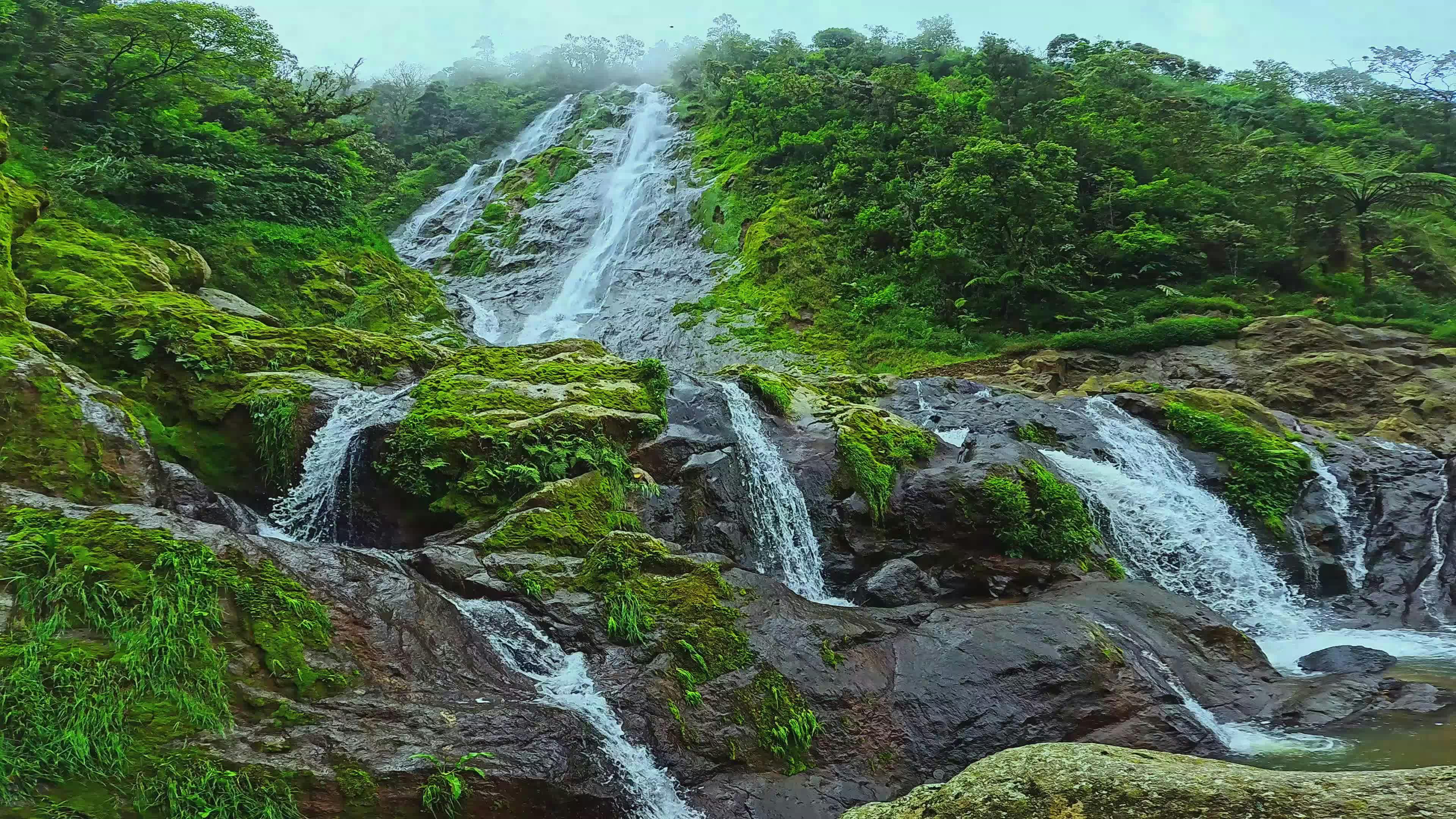 Une Cascade Paisible Au Milieu D'une Végétation Luxuriante · Vidéo gratuite