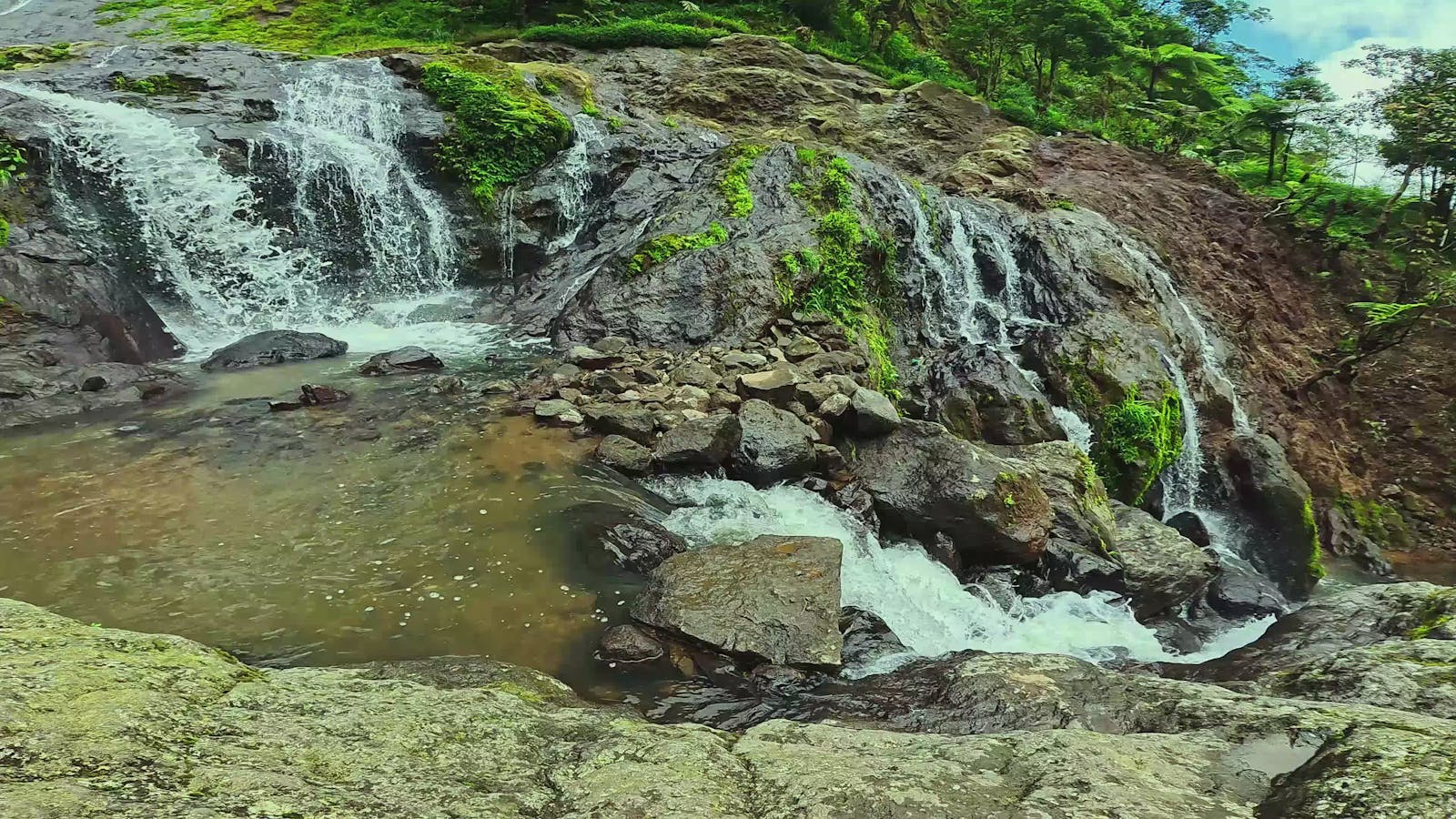 Nature Sounds Videos, Download The BEST Free 4k Stock Video Footage ...