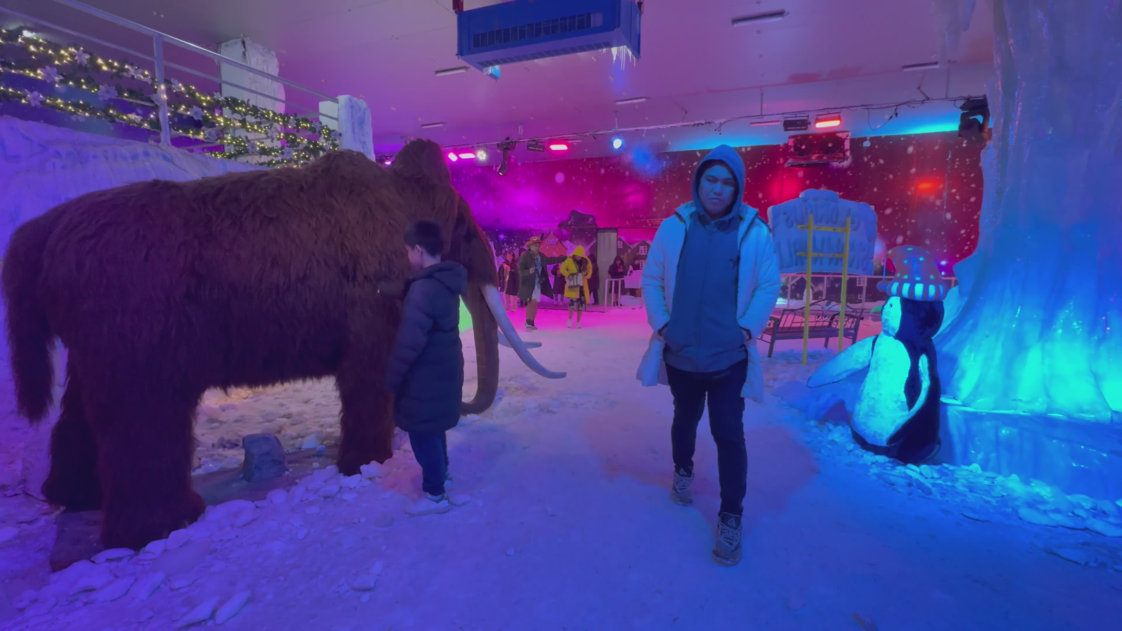 Interactive Ice Exhibit with Mammoth Display Free Stock Video Footage ...