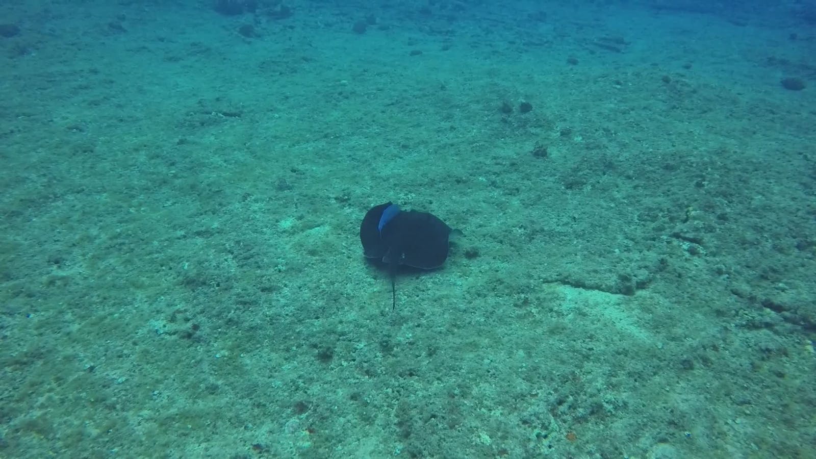 Blue Video Videos, Download The BEST Free 4k Stock Video Footage & Blue ...