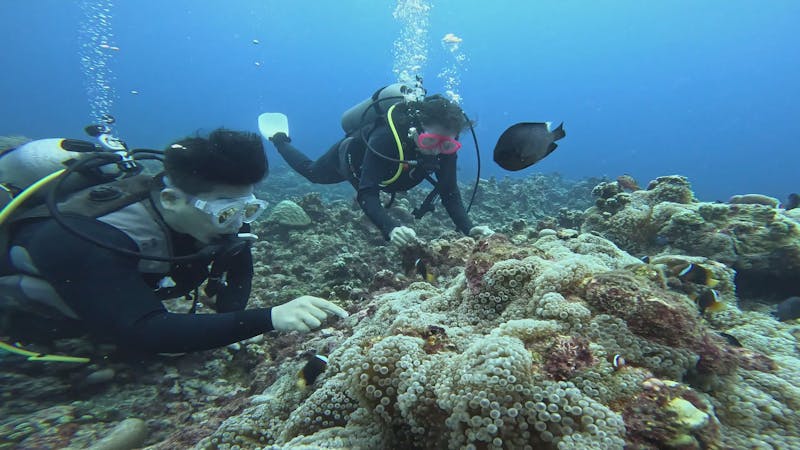 Xxxccc Video Videos, Download The BEST Free 4k Stock Video Footage ...