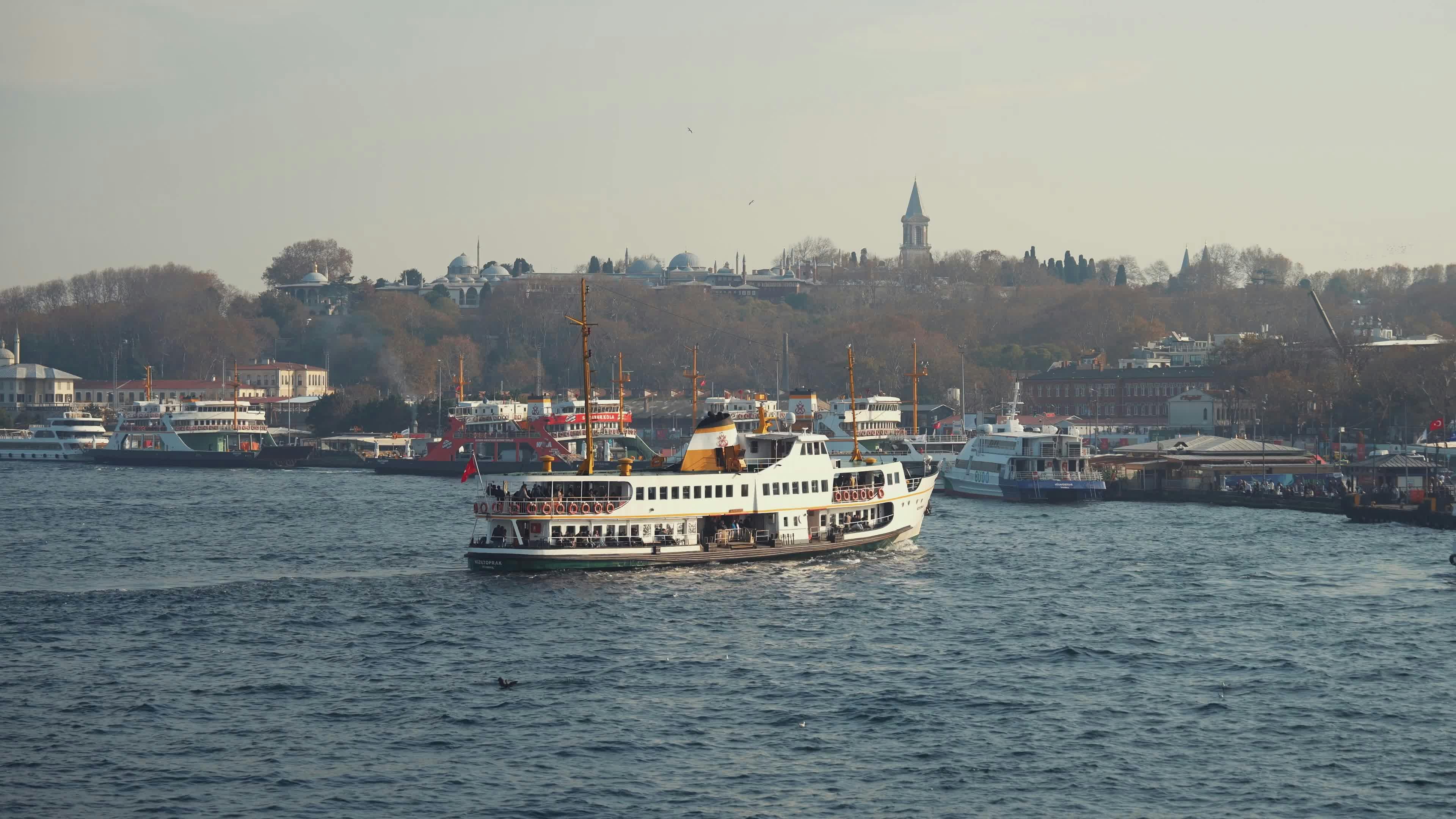 Slow+Motion+Boobs+Bouncing Videos, Download The BEST Free 4k Stock ...