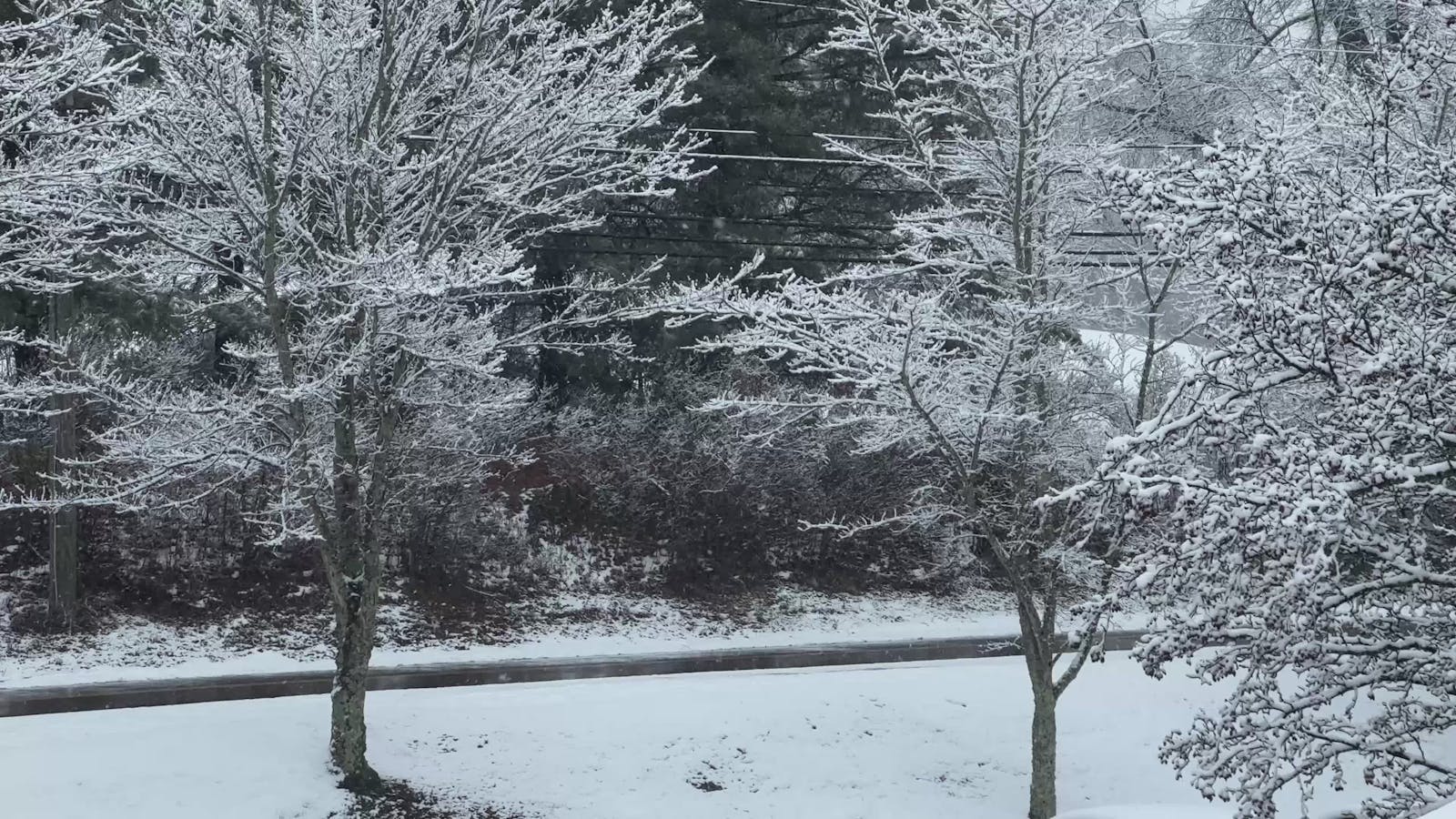 Japanese Bus Vlog Videos, Download The BEST Free 4k Stock Video Footage ...