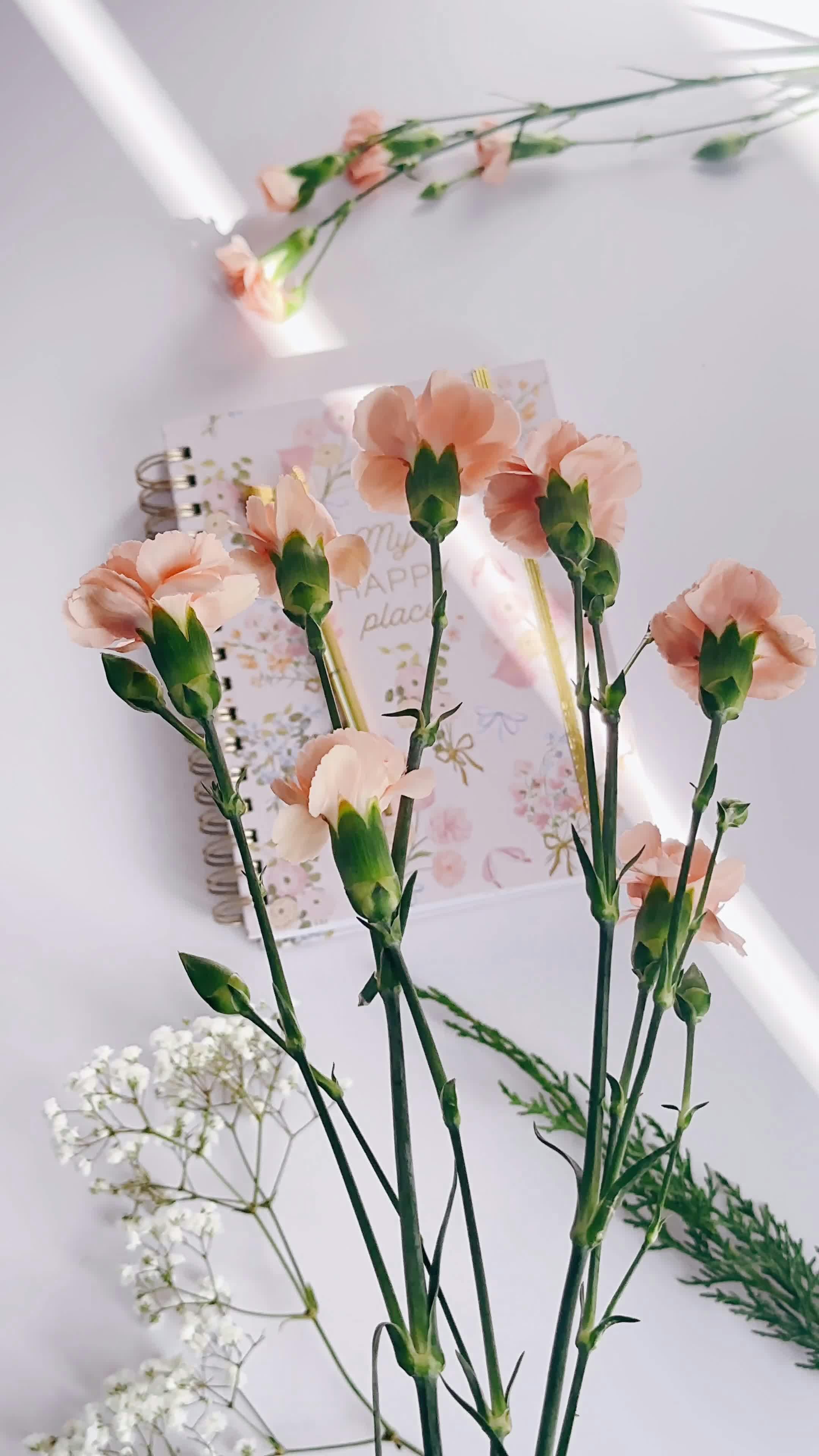 Joker+Drawing+Outline Videos, Download The BEST Free 4k Stock Video ...