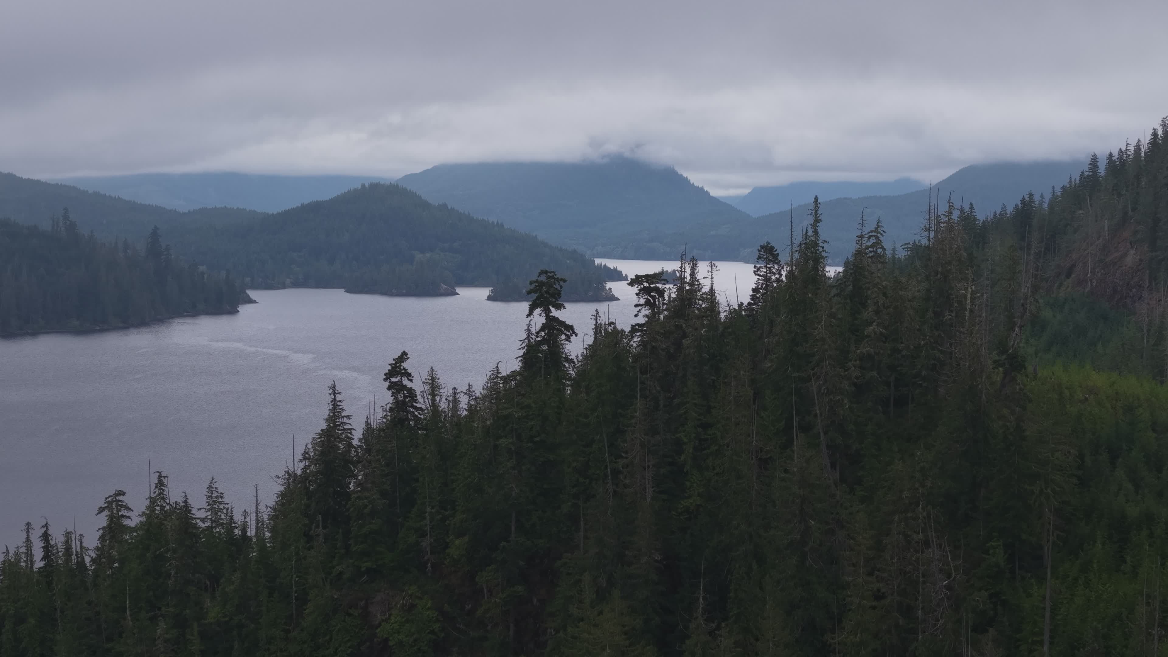 Moody Forested Lake in Pacific Northwest Free Stock Video Footage ...