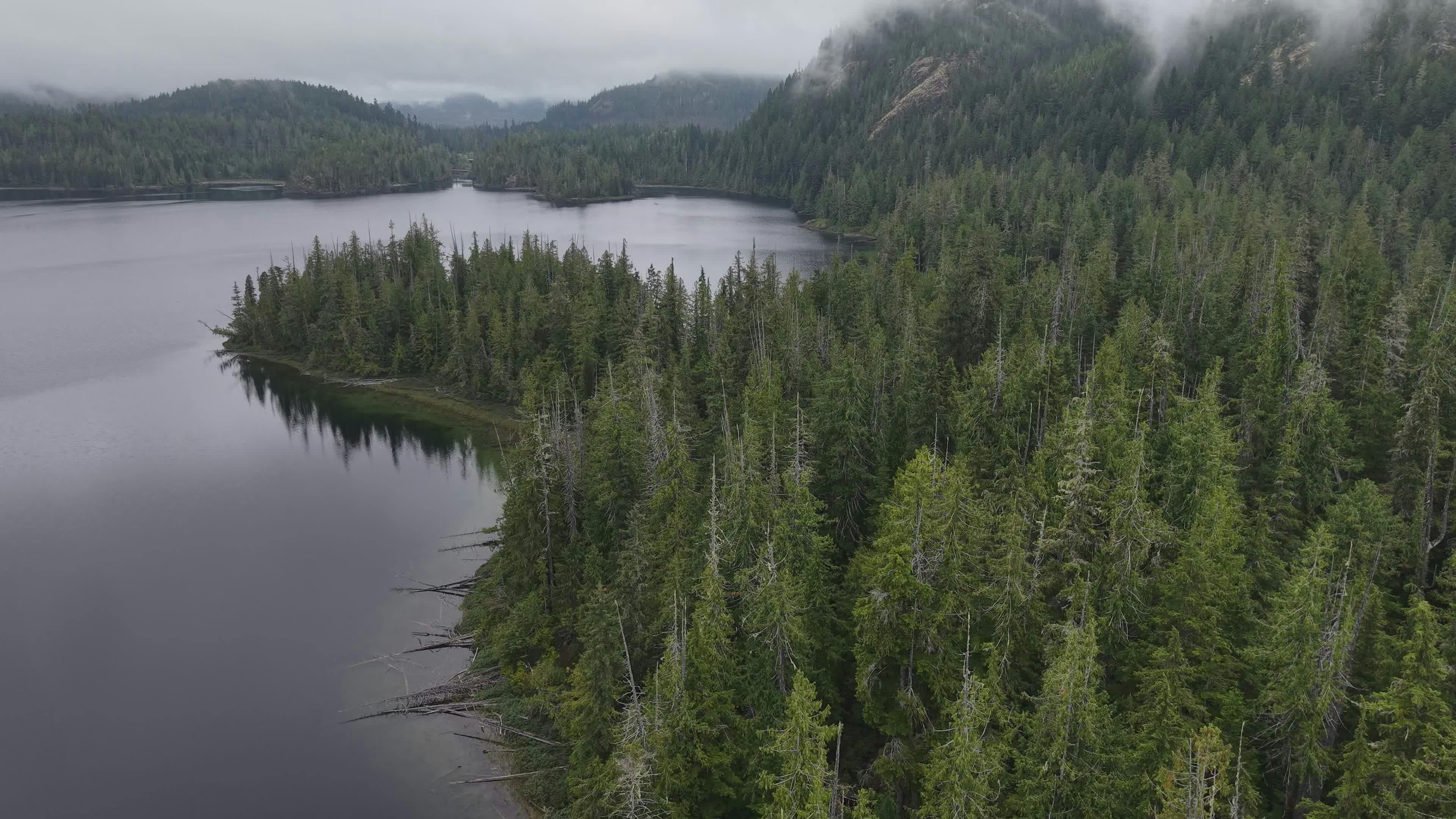 Moody Aerial View of Forested Lake Landscape Free Stock Video Footage ...