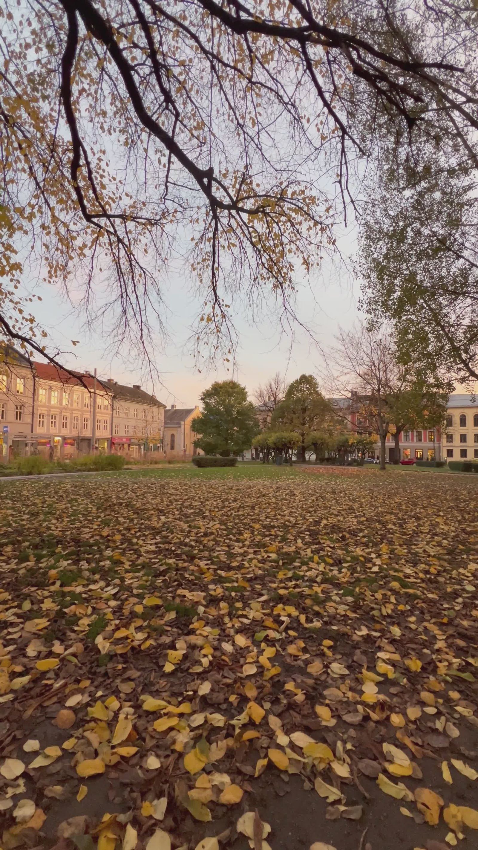 Obs Background Videos, Download The BEST Free 4k Stock Video Footage ...