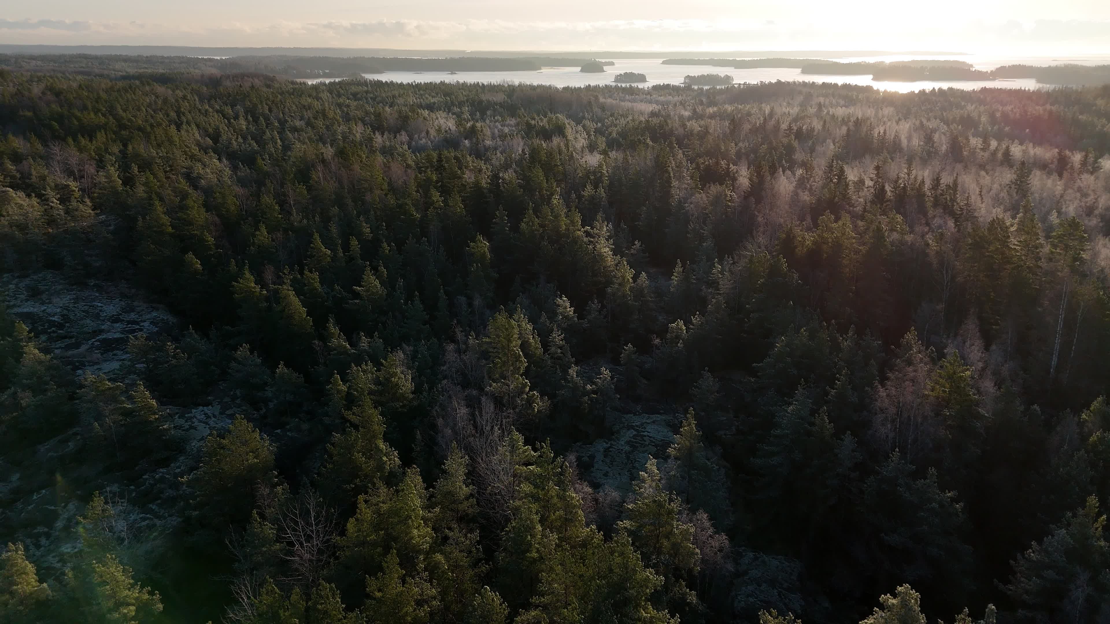Aerial View of Scenic Finnish Coastal Forest Free Stock Video Footage ...