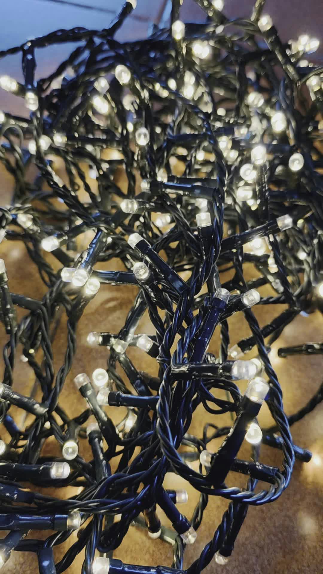 String+Bikinis+On+The+Beach Videos, Download The BEST Free 4k Stock ...